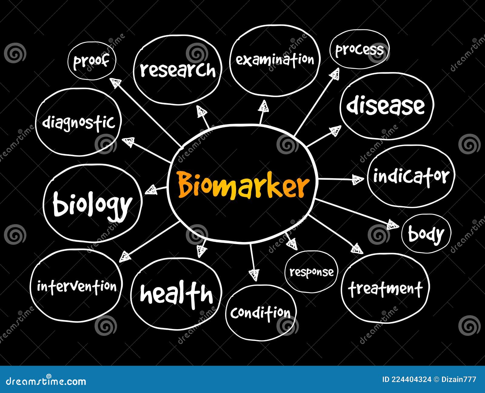 Biomarker Mind Map, Concept for Presentations and Reports Stock ...