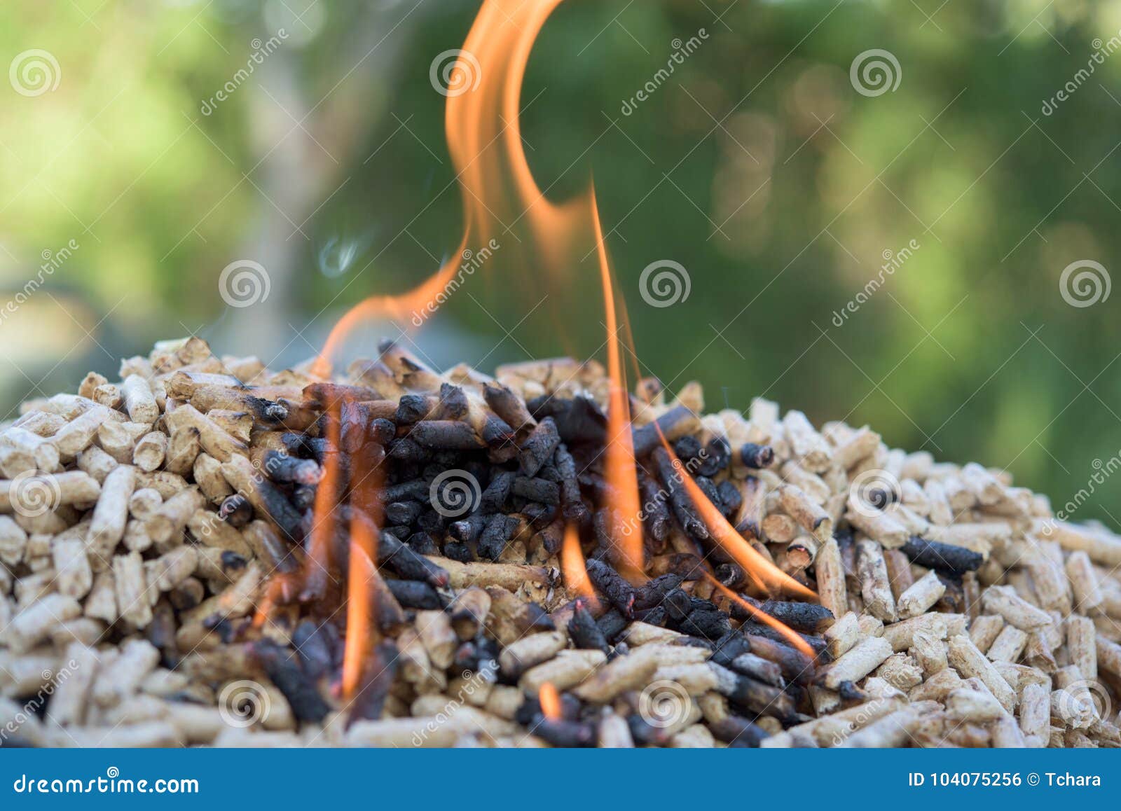 Biomass in fire stock photo. Image of chip, heat, industry - 104075256