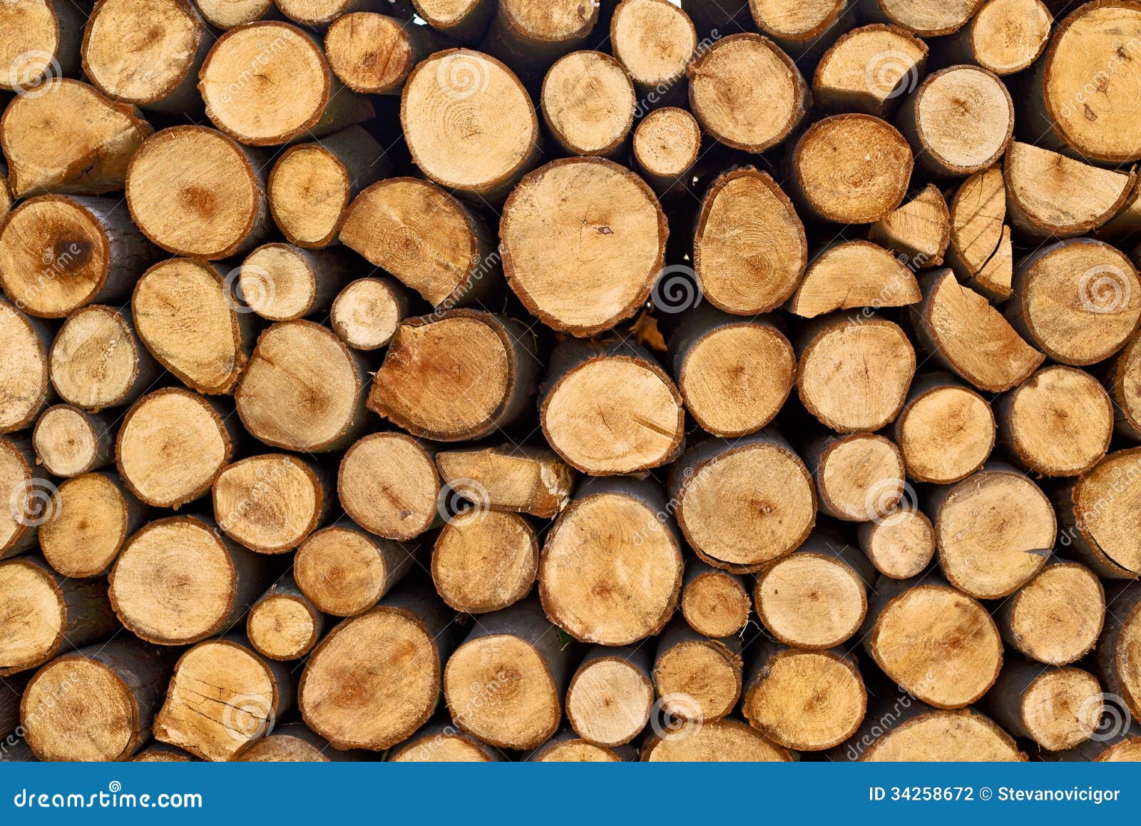 Biomass firewood stock photo. Image of trunk, firewood - 34258672