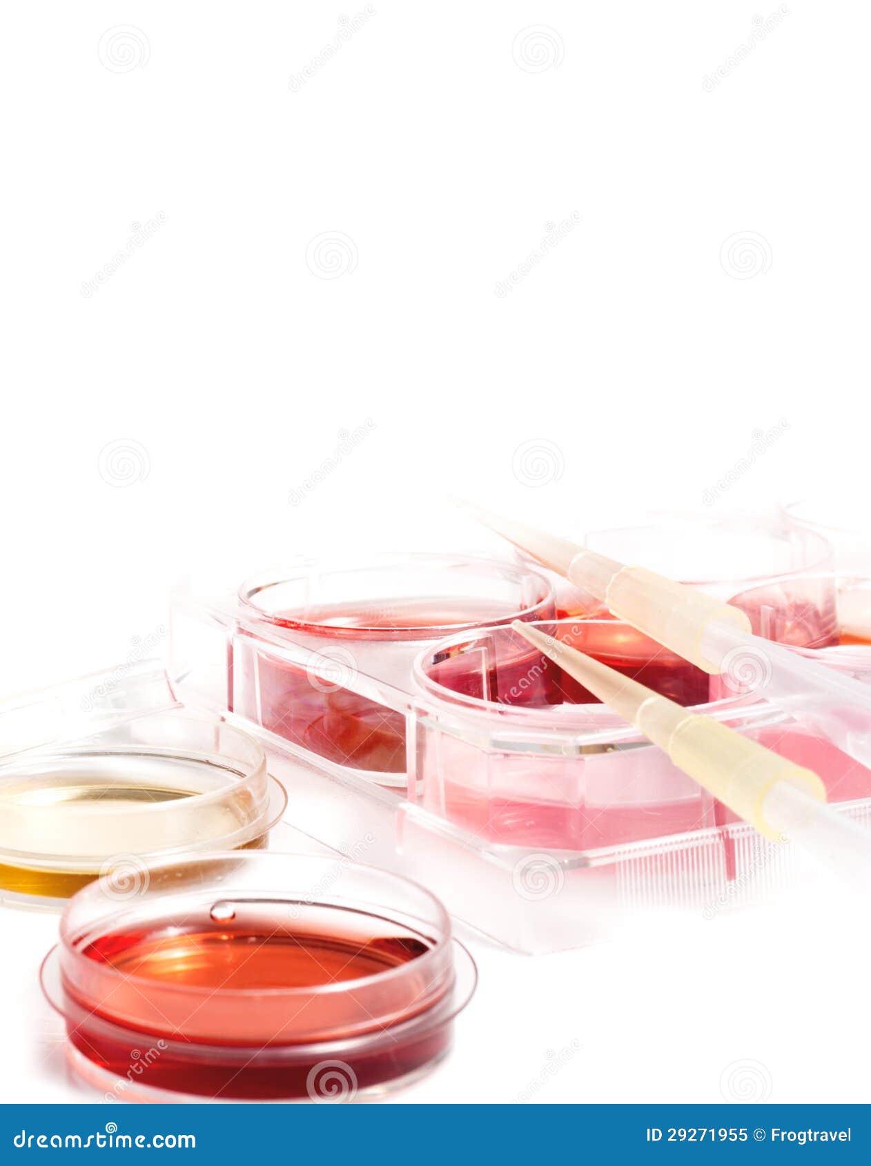 Biomedical Diagnostic Laboratory Stock Image - Image of culture ...