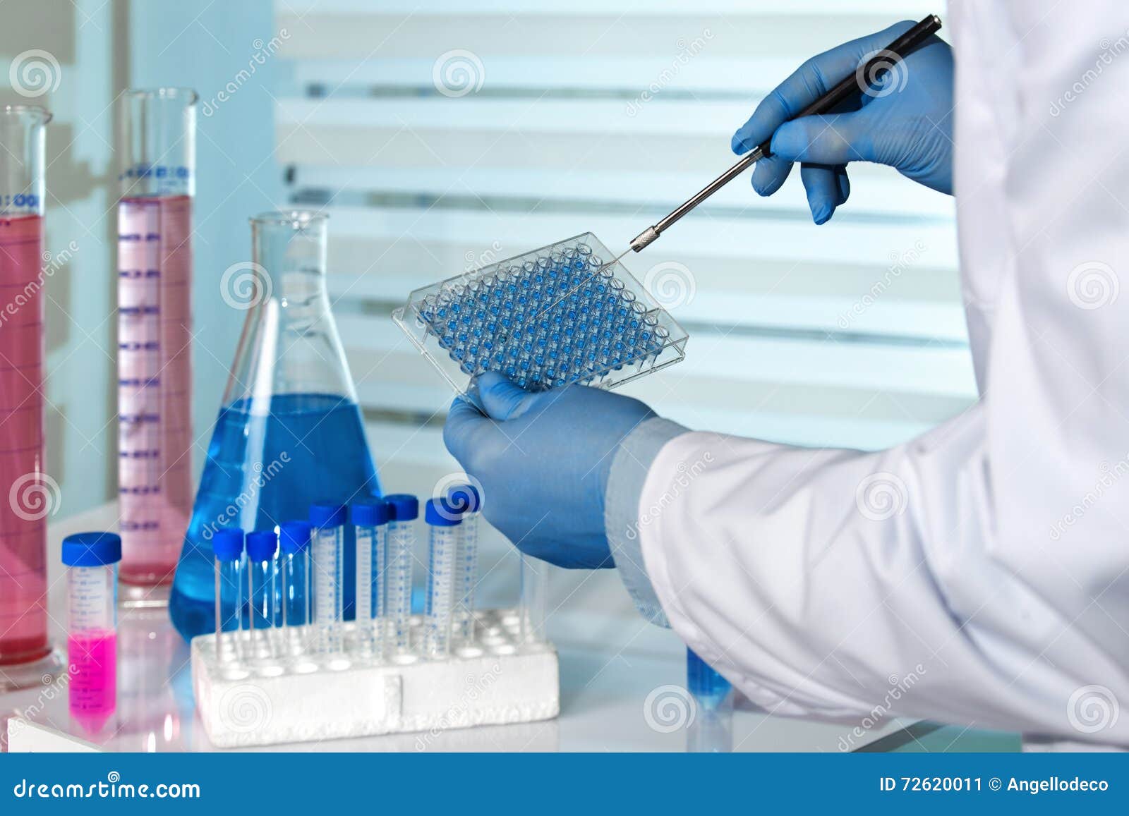 Biomedical Engineer Working with Microplate in Laboratory Stock Image ...