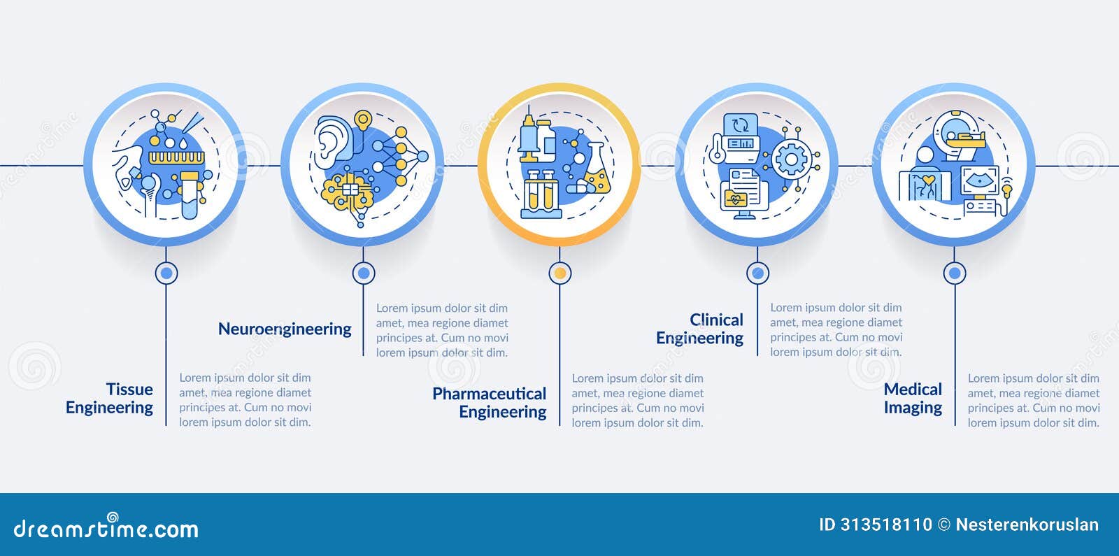 Biomedical Engineering Blue Circle Infographic Template Stock ...