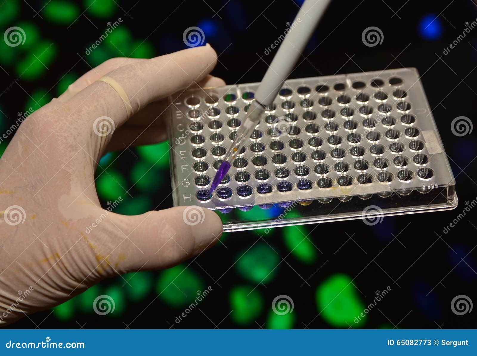In the Biomedical Laboratory. Stock Image - Image of close, health ...