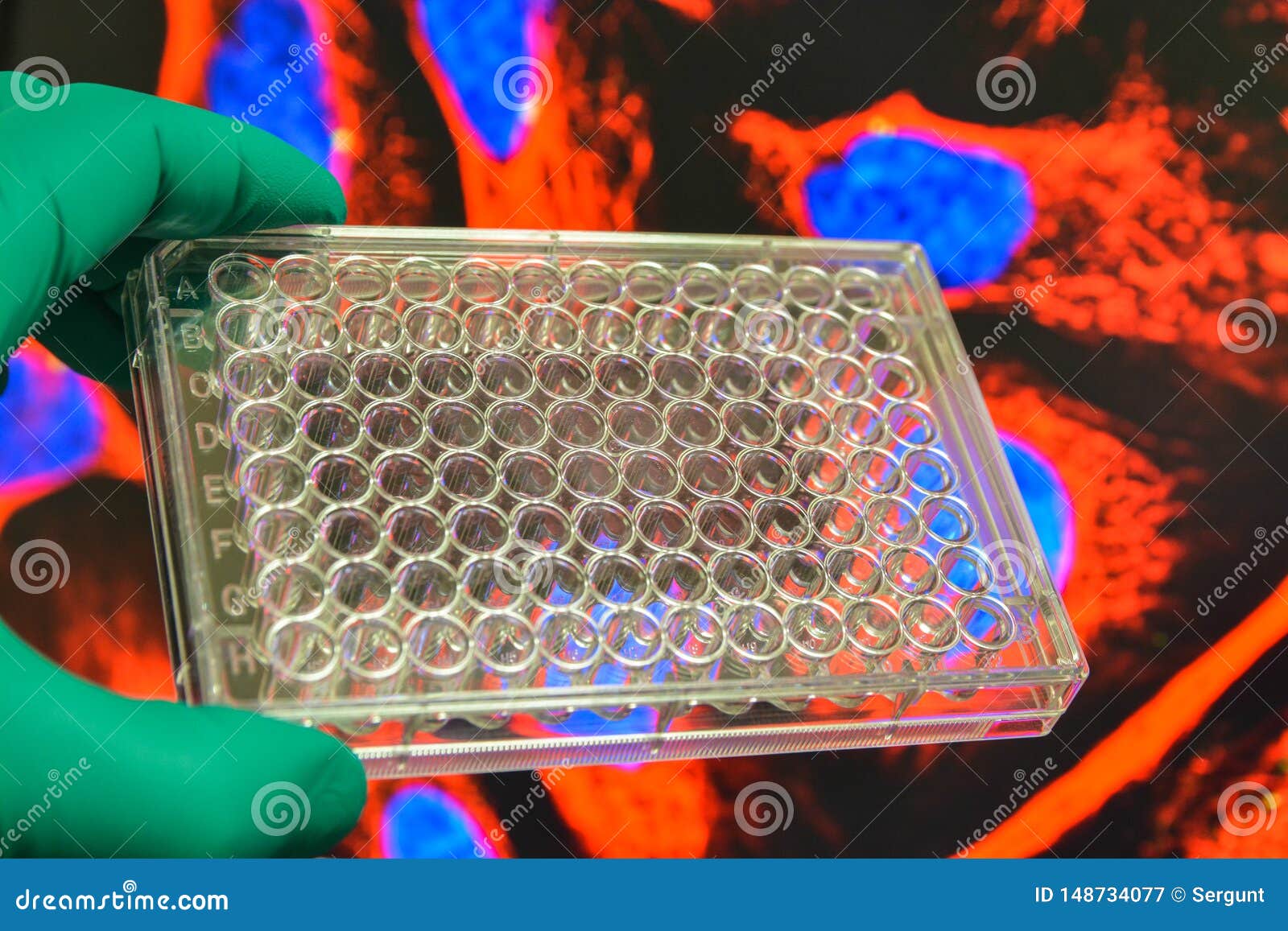In the Biomedical Laboratory Stock Image - Image of biology, cancer ...