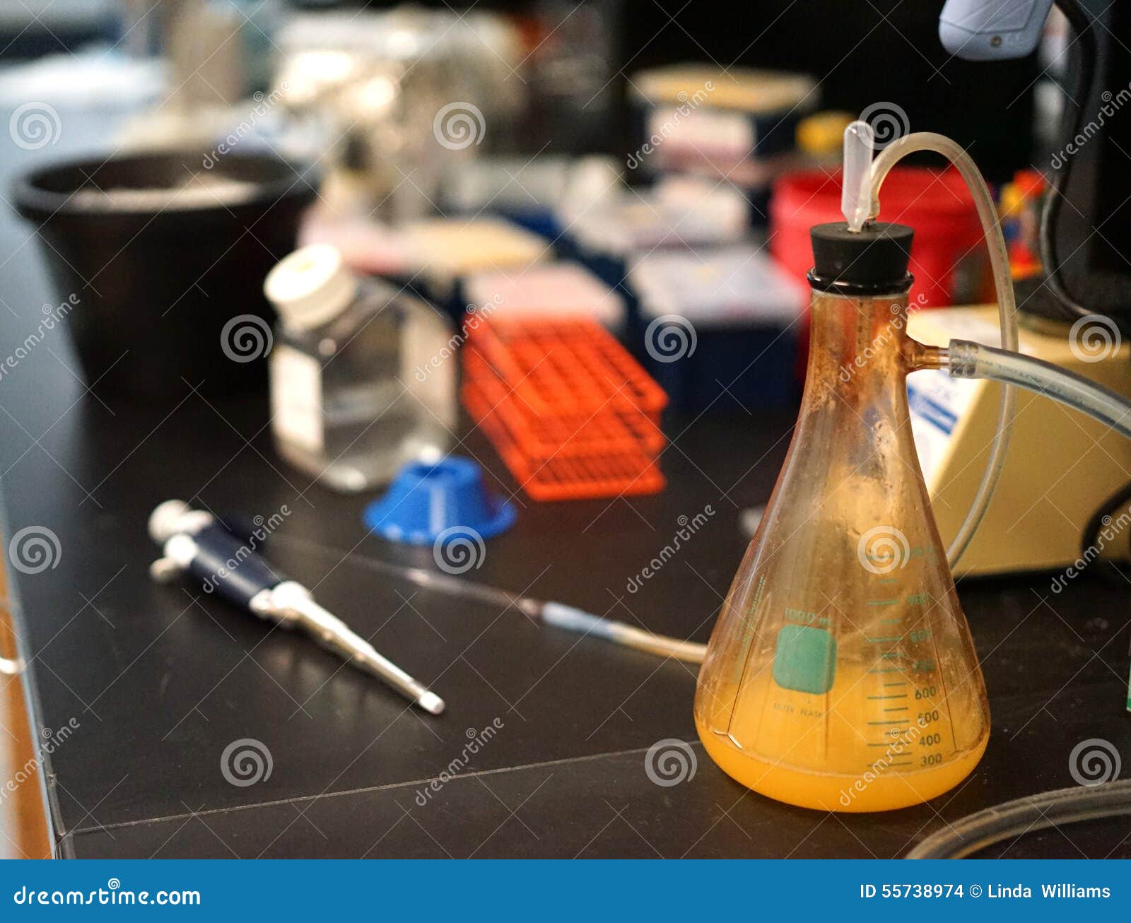 Biomedical Research Bench Top Editorial Stock Image - Image of ...