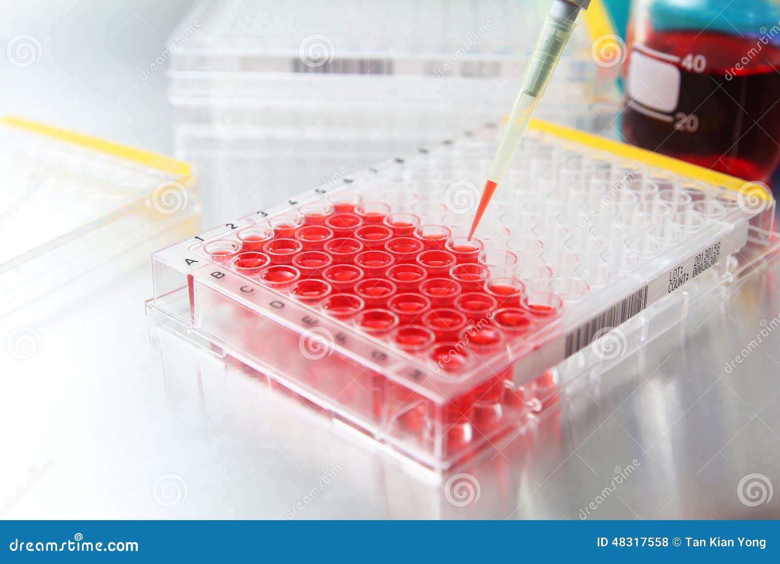 Biohazard Tray Stock Photos - Free & Royalty-Free Stock Photos from ...