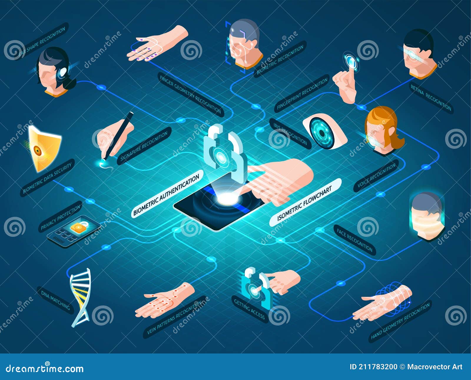 Biometric Authentication Methods Isometric Flowchart Stock Vector - Illustration of cellular ...