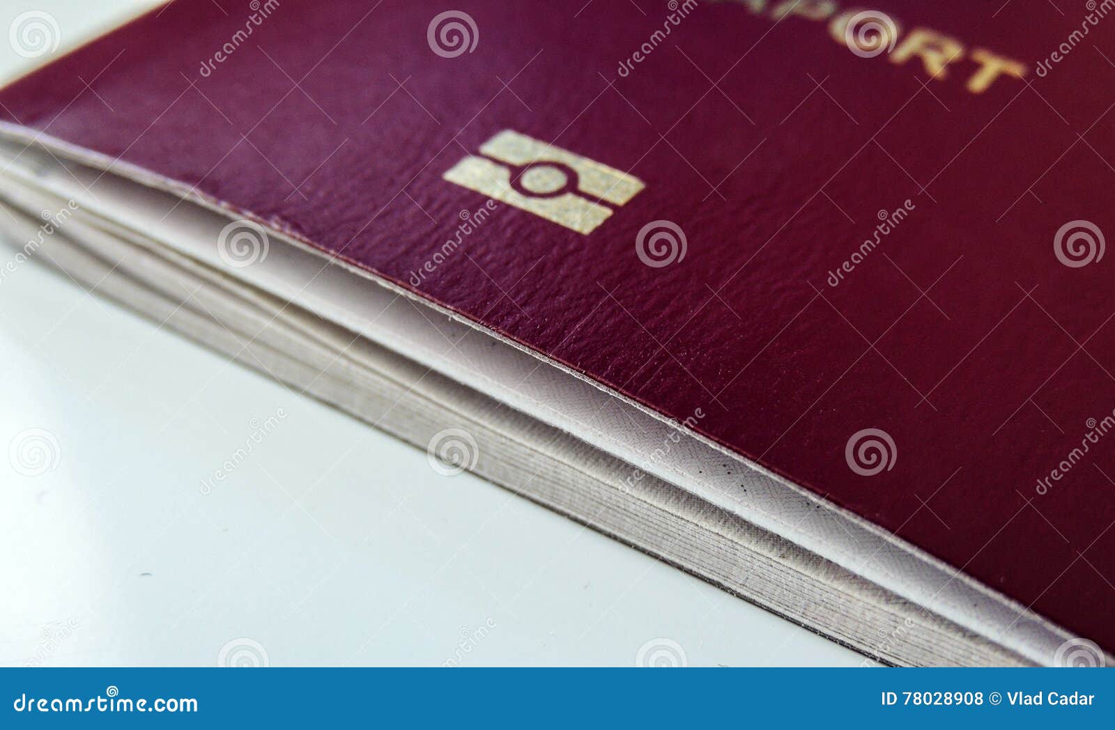 Biometric, E-passport or Digital Passport Symbol Stock Photo - Image of ...