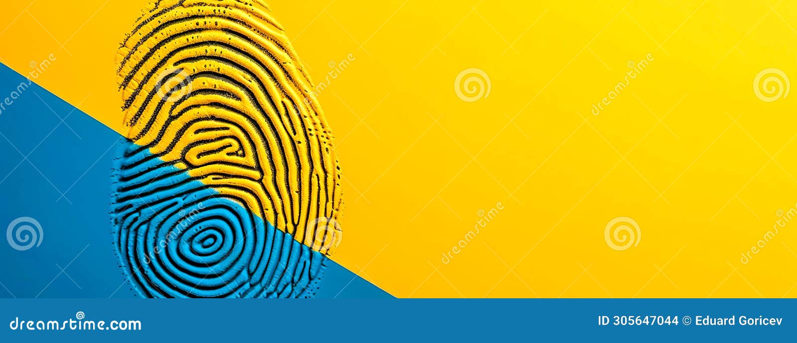 Biometric Fingerprint Identification Technology for Secure ...