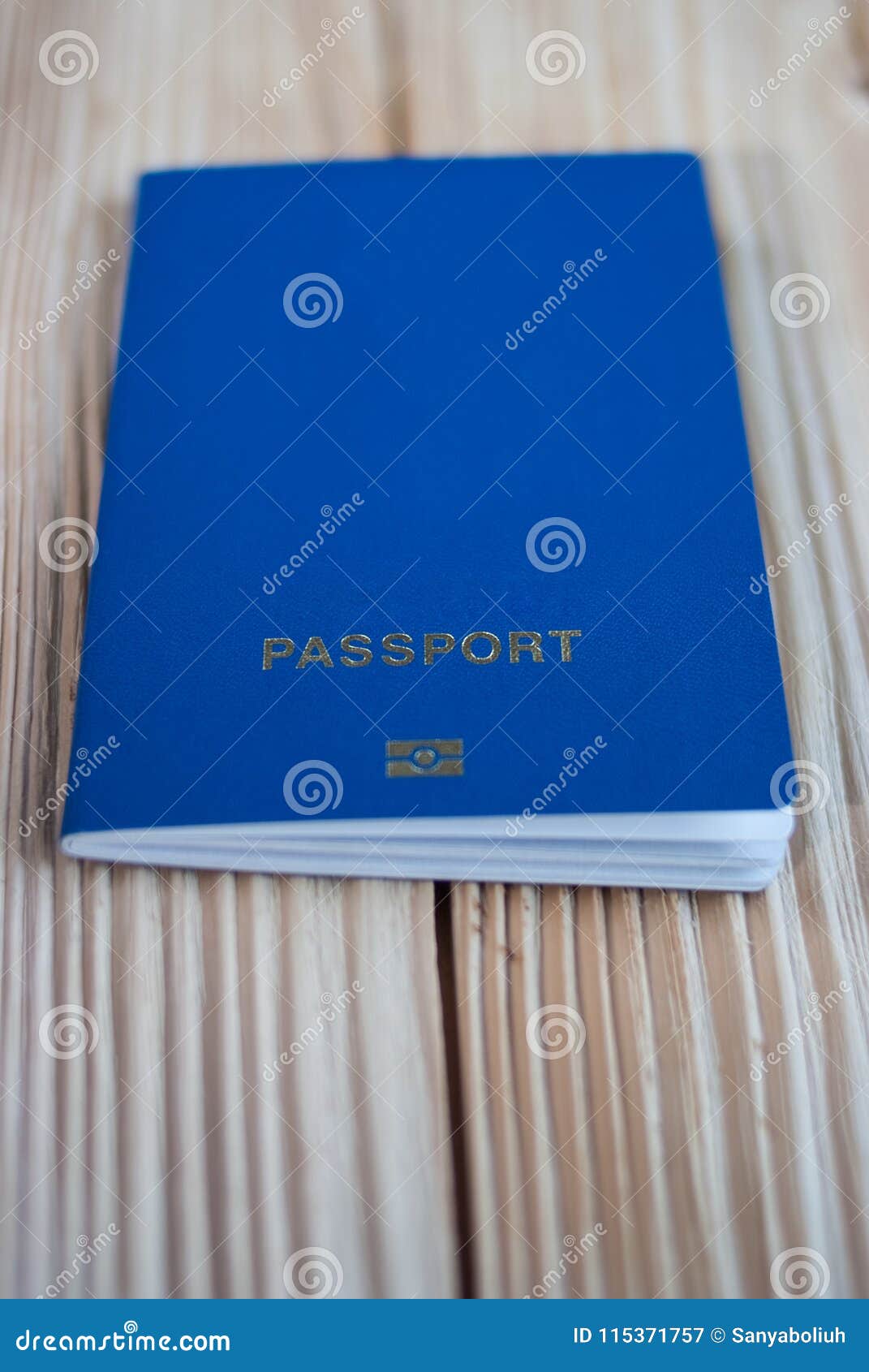 Biometric Passport on a Gray Background Stock Image - Image of european ...