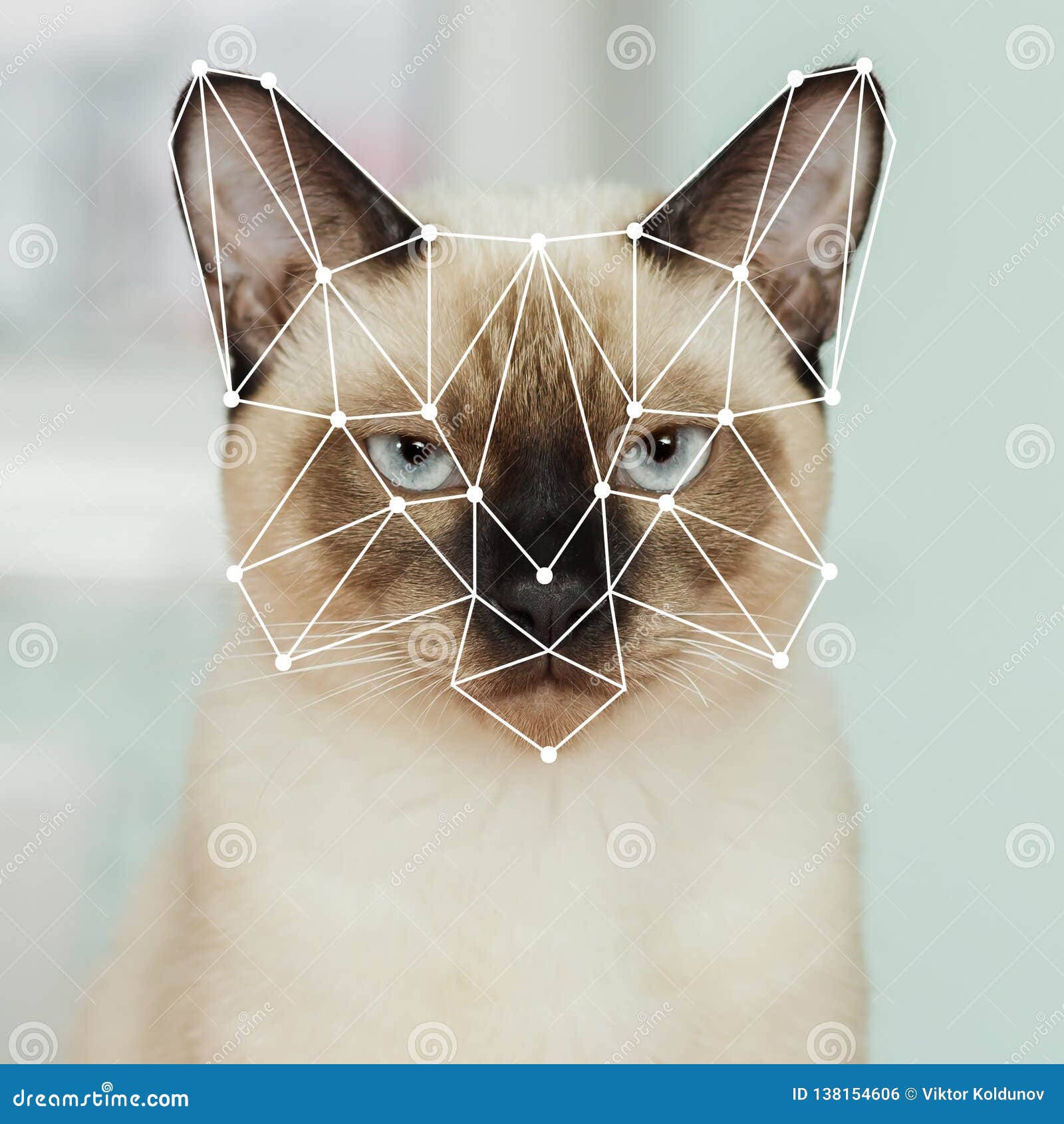 Biometric Verification Woman Face Recognition Detection Security ... Biometric Verification Woman Face Recognition Detection Security ...