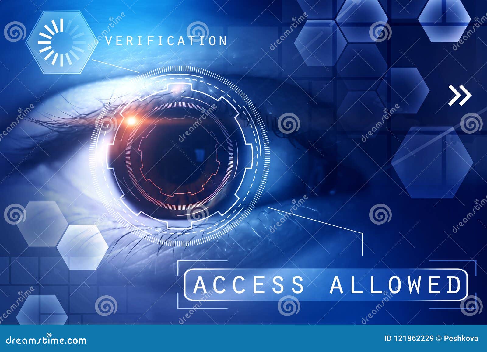 Biometrics, Id and Access Concept Stock Image - Image of internet ...