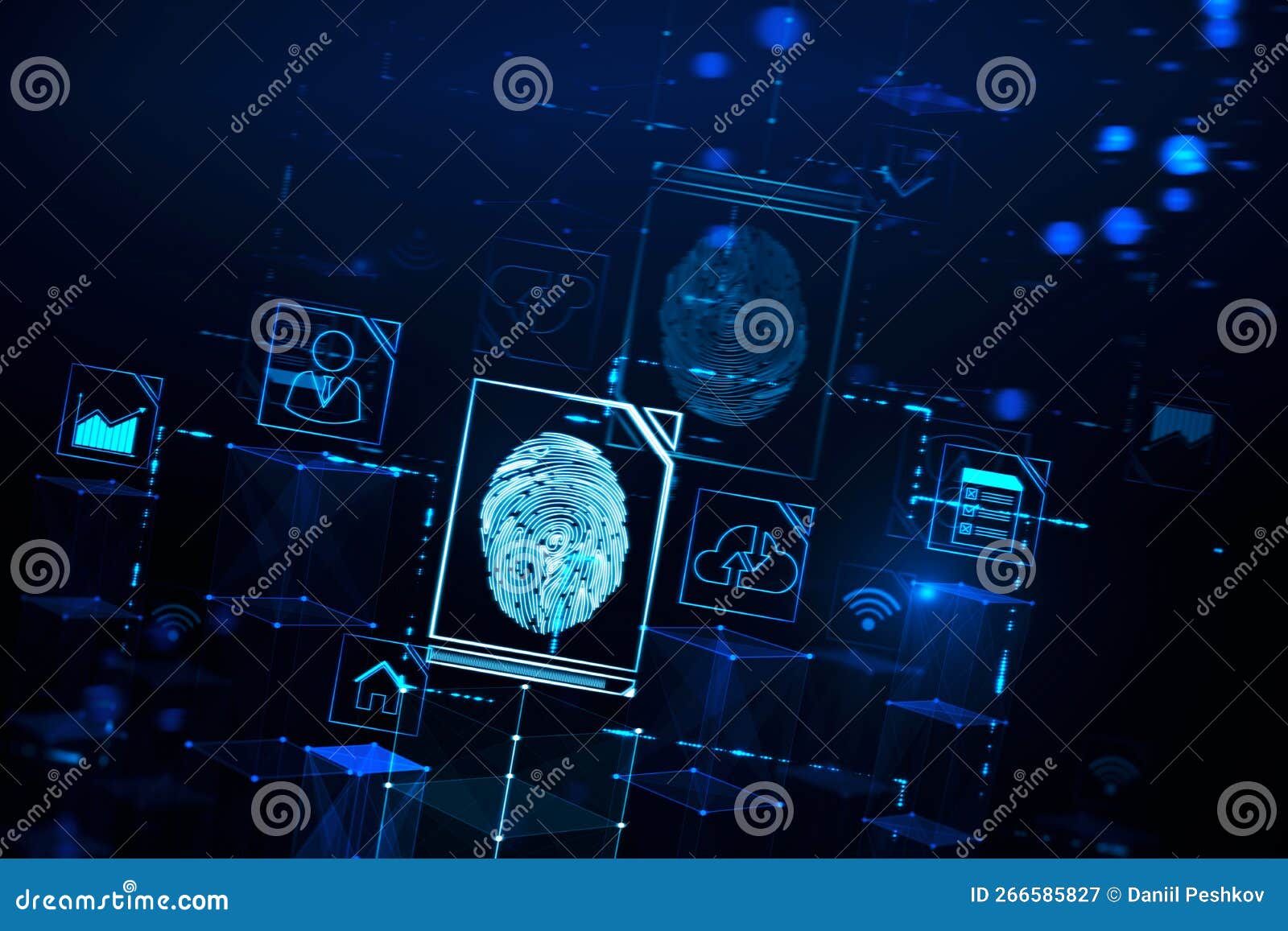 Biometrics Identification and Personal Data Security Concept with ...