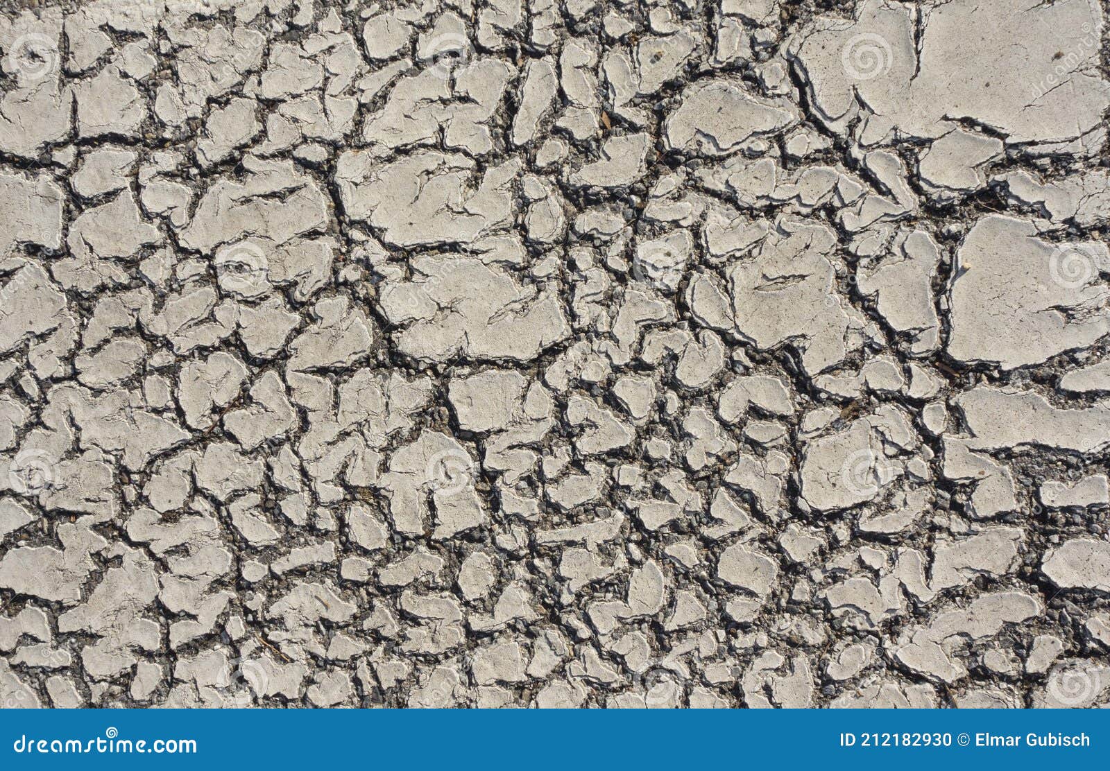 Biomorph Shapes, Structures and Patterns Stock Photo - Image of ...