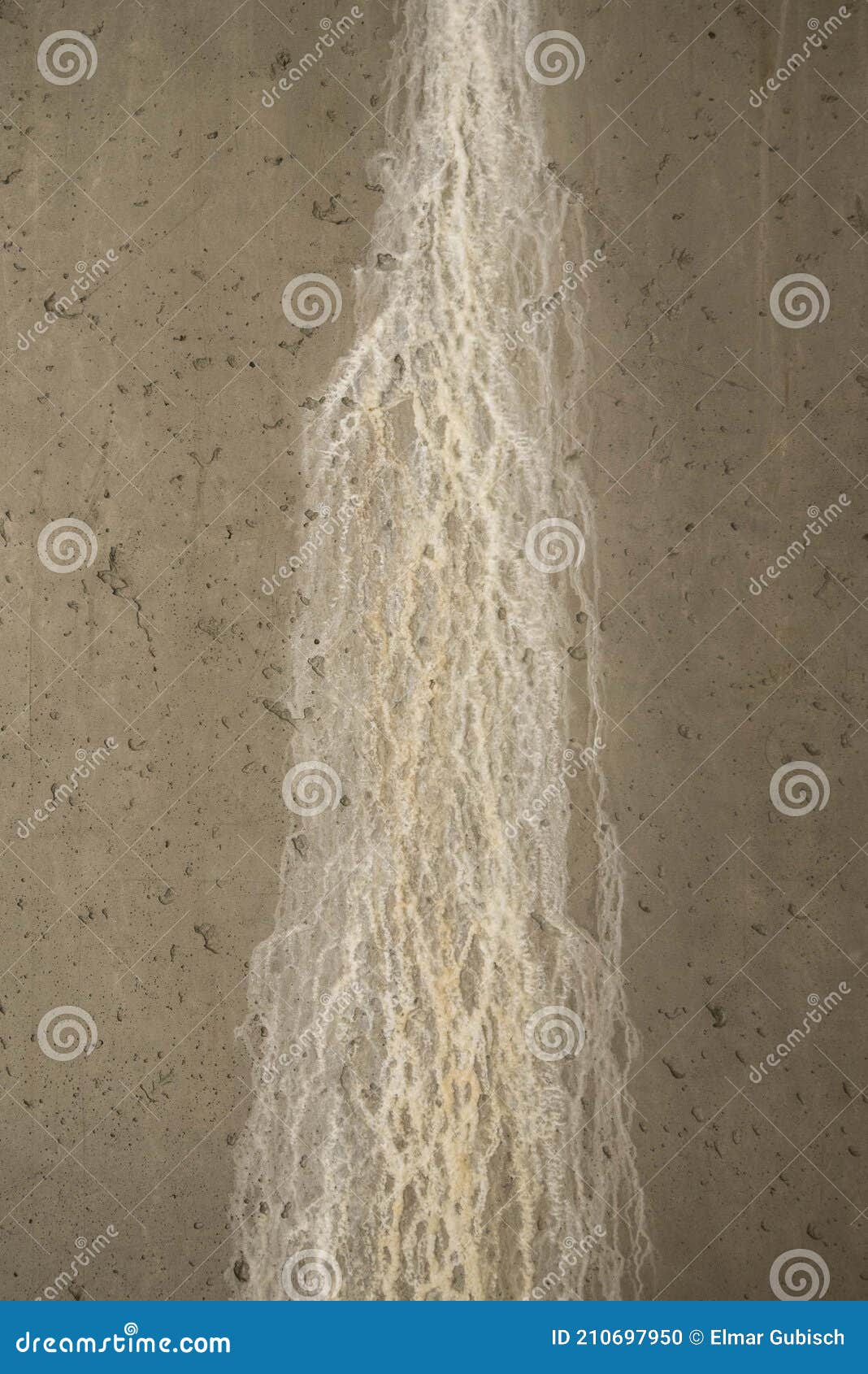 Biomorph Shapes, Structures and Patterns Stock Photo - Image of ...