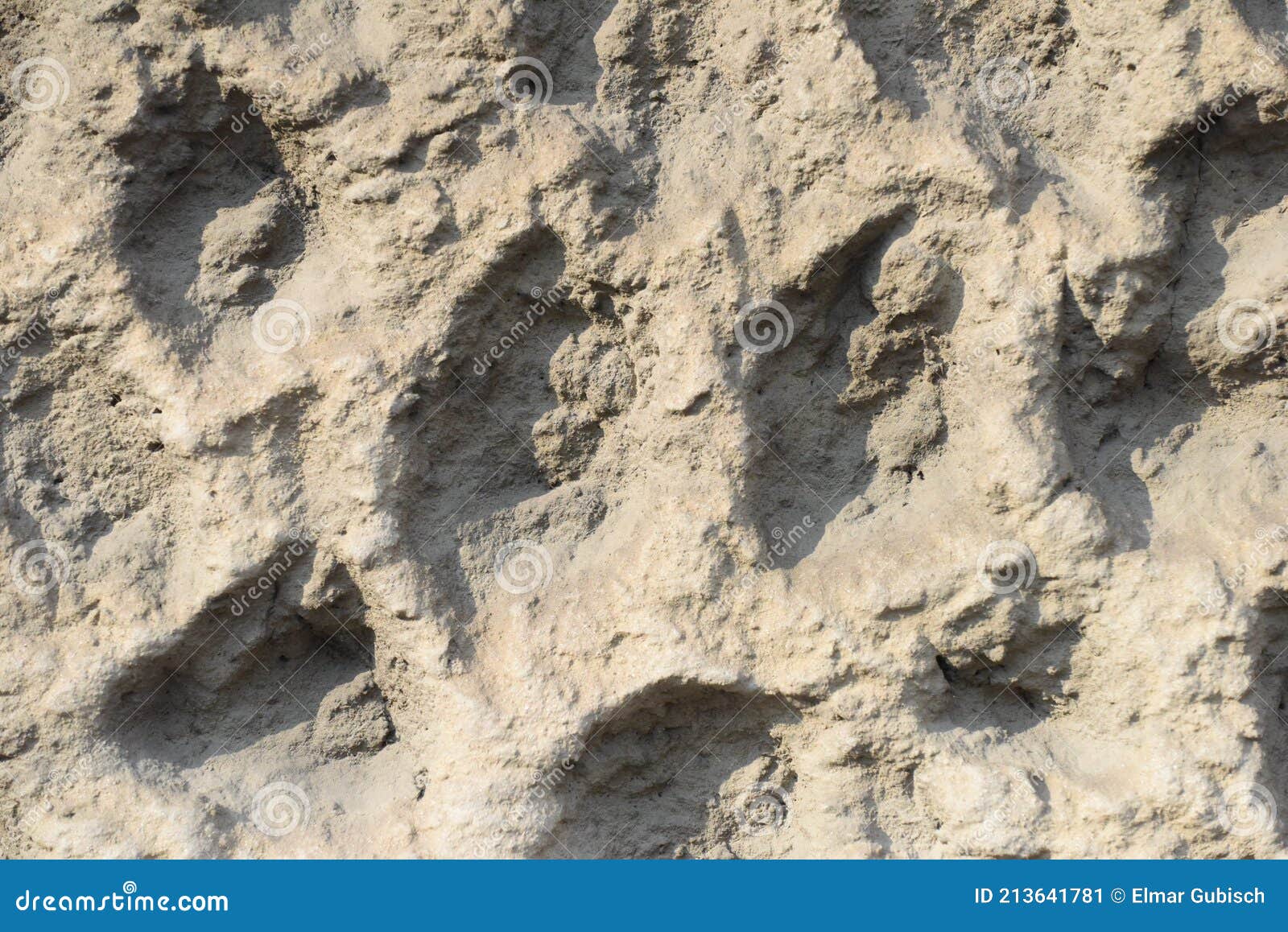 Biomorph Shapes, Structures and Patterns Stock Image - Image of pattern ...