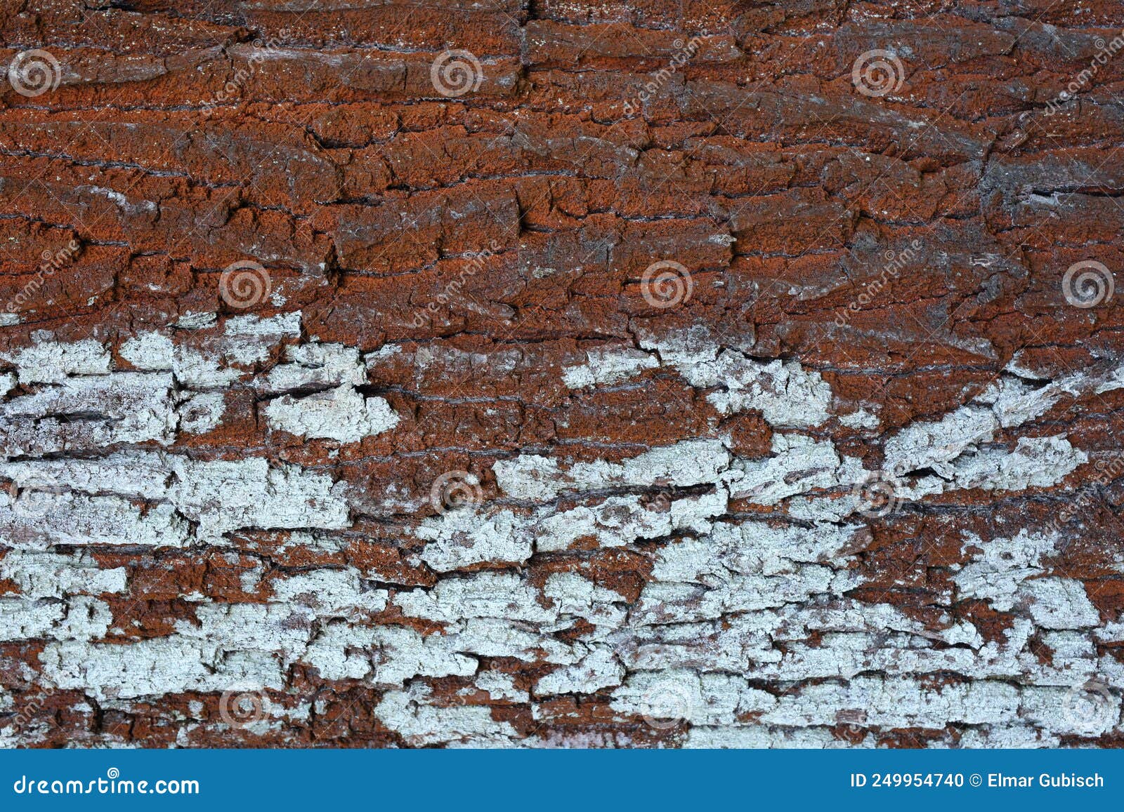 Biomorph Shapes, Structures and Patterns Stock Photo - Image of ...