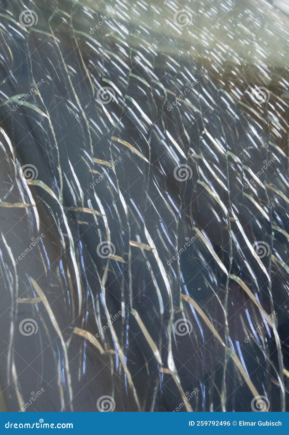 Biomorph Shapes, Structures and Patterns Stock Photo - Image of ...