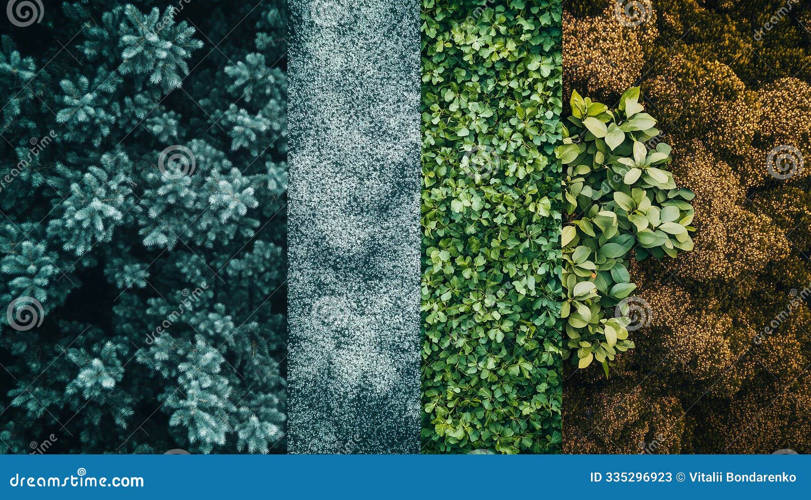 Biomorphic Design: Adding Life-like Qualities To Your Visuals. Stock ...