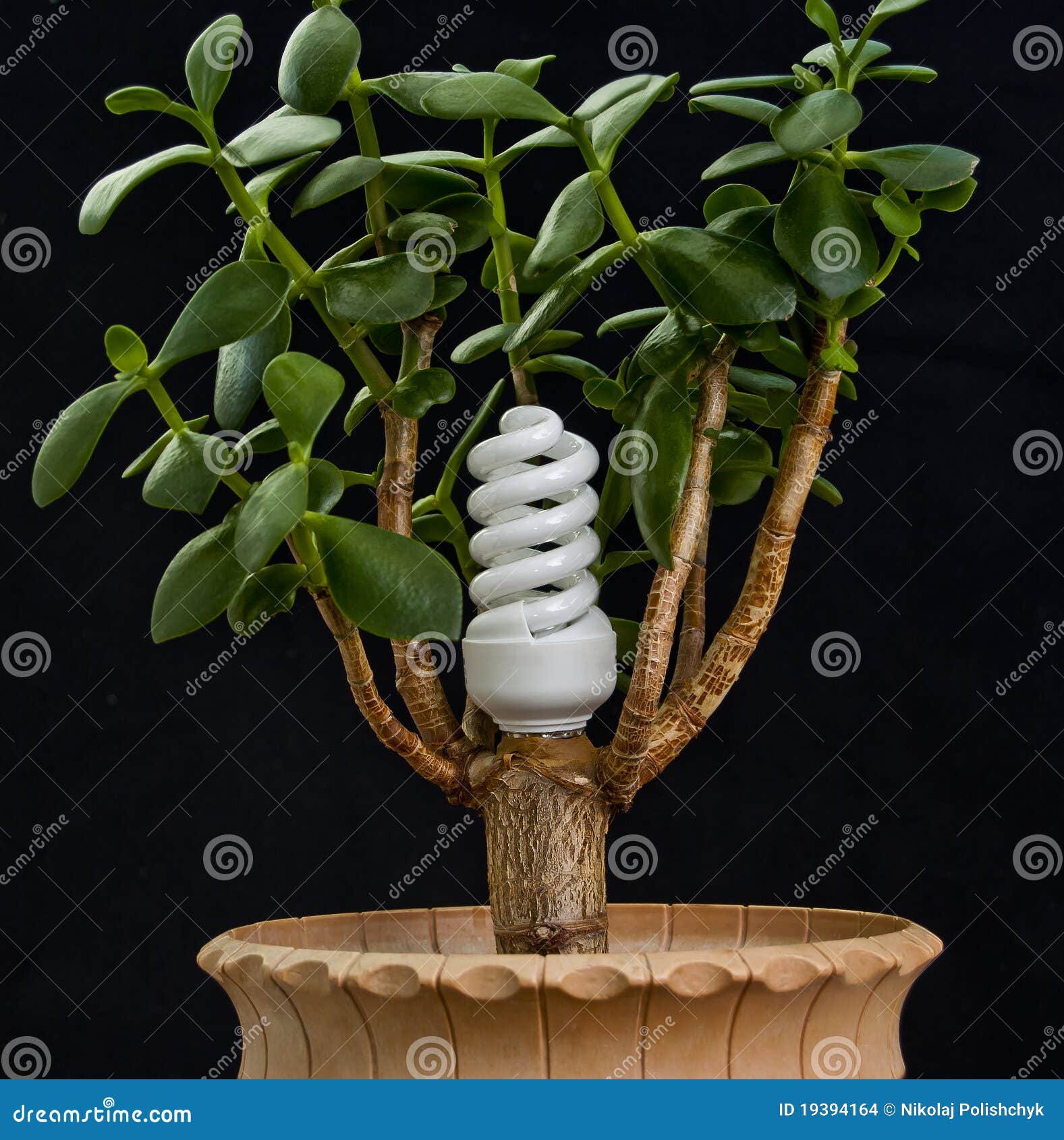 Biopower concept stock photo. Image of power, plant, plot - 19394164