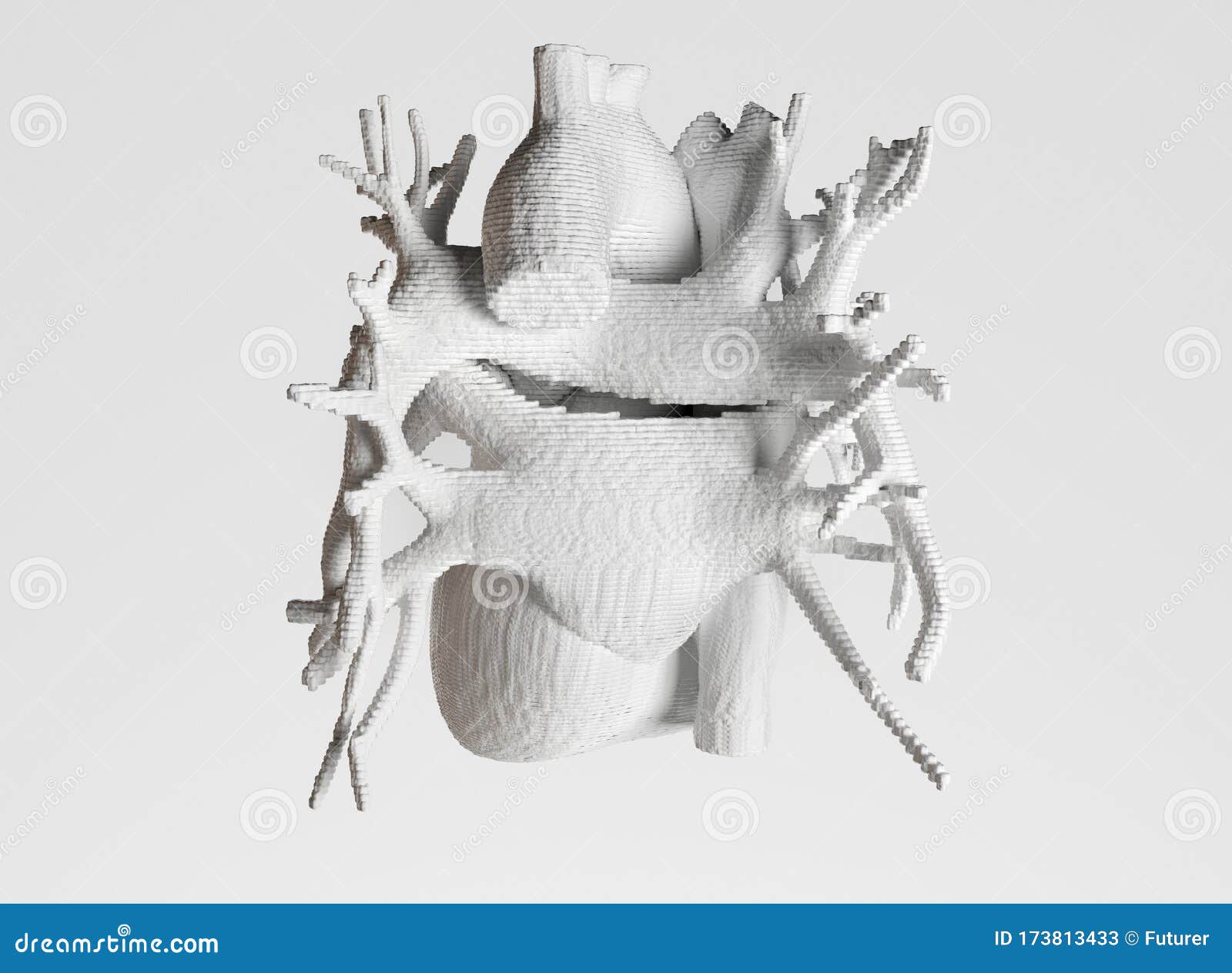 Bioprint of a Heart, 3D Printing of a Heart, Concept of the Future in ...