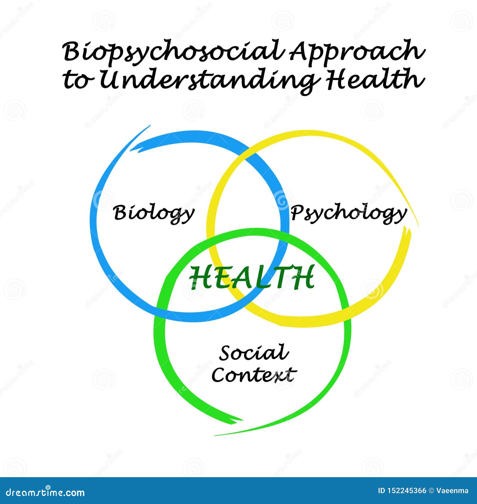 Biopsychosocial Approach To Understanding Health Stock Illustration ...