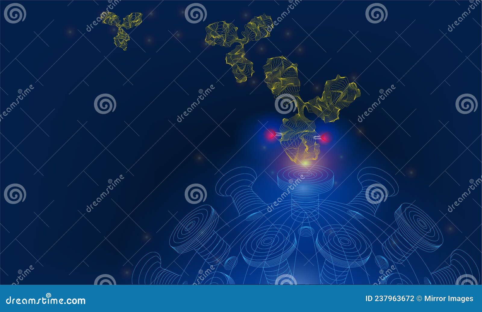 BioScience Antibody. Vector Illustration of an Antibody, or ...