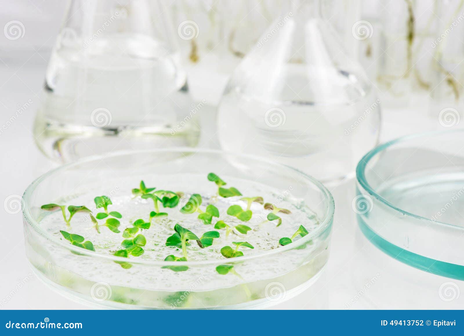 Biosciences stock photo. Image of analyzing, biological - 49413752
