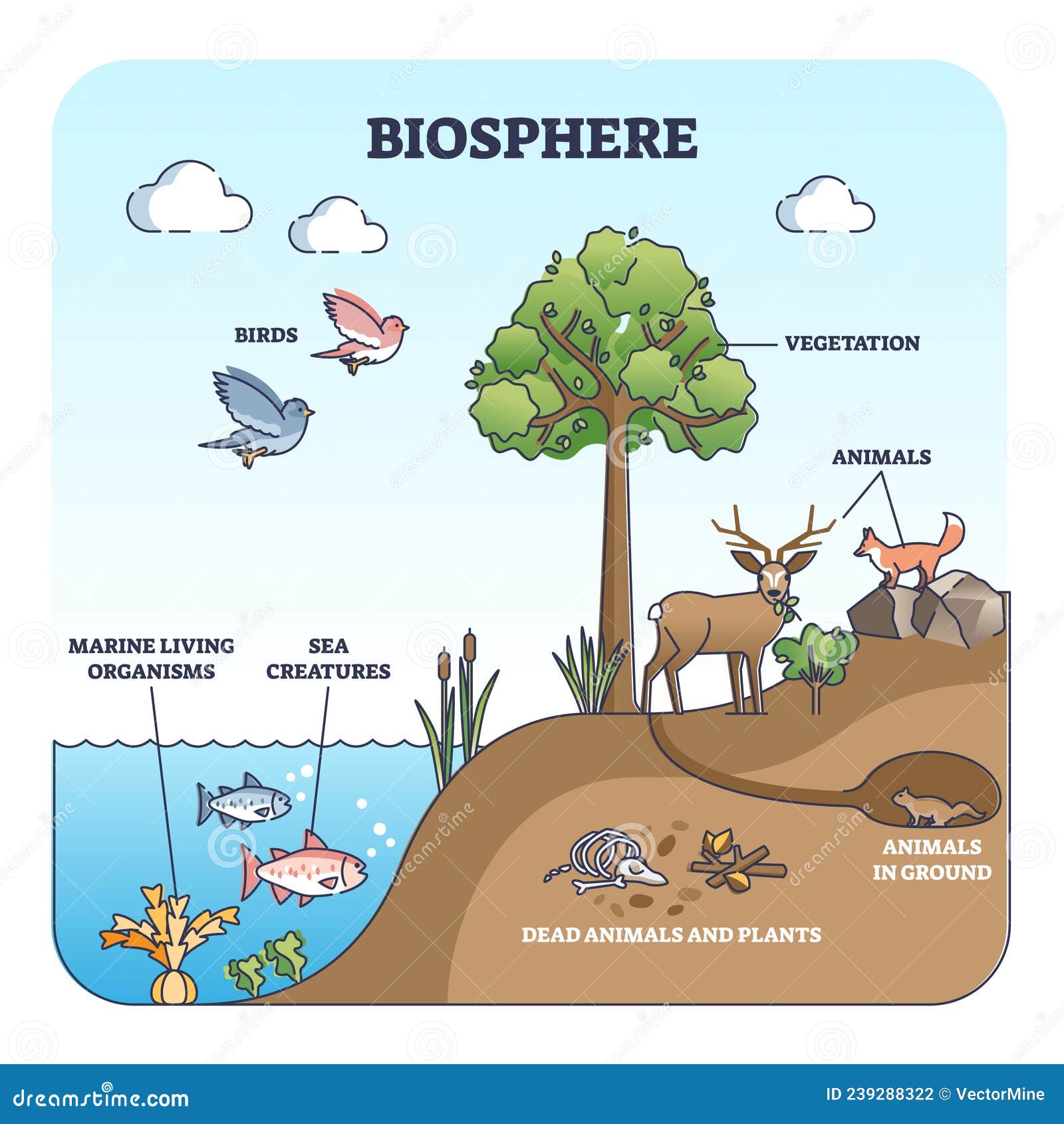 Biosphere Division With Labeled Ecosystem Explanation Scheme Outline ... Biosphere Division With Labeled Ecosystem Explanation Scheme Outline ...
