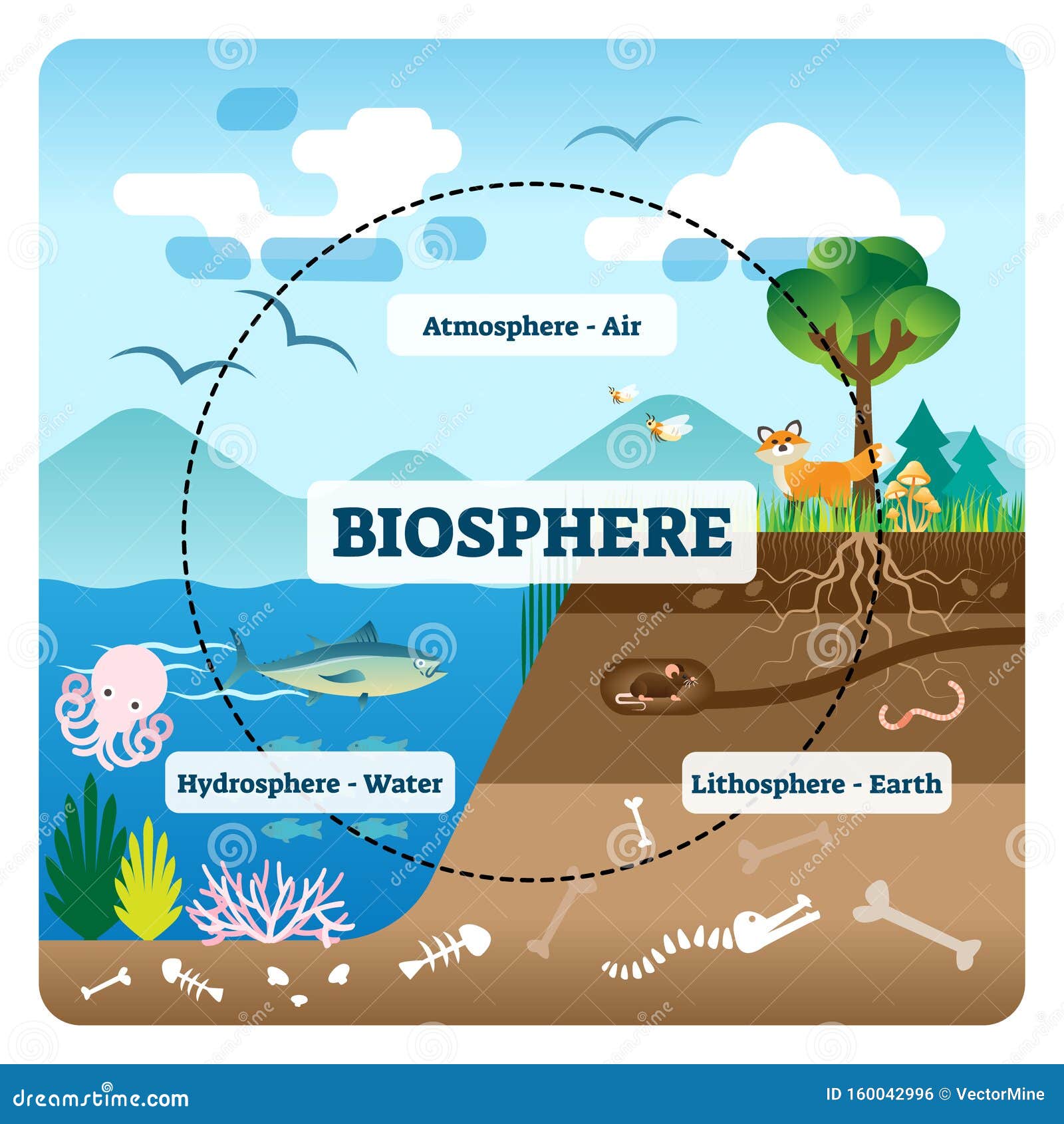 Biosphere, Atmosphere, Lithosphere, Hydrosphere Vector Illustration ... Biosphere, Atmosphere, Lithosphere, Hydrosphere Vector Illustration ...