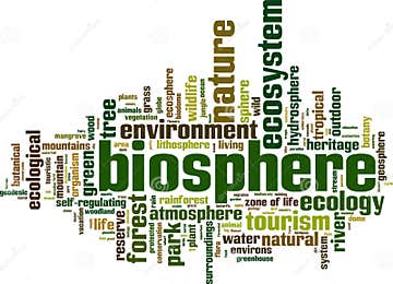 Biosphere word cloud stock vector. Illustration of surroundings - 245528624