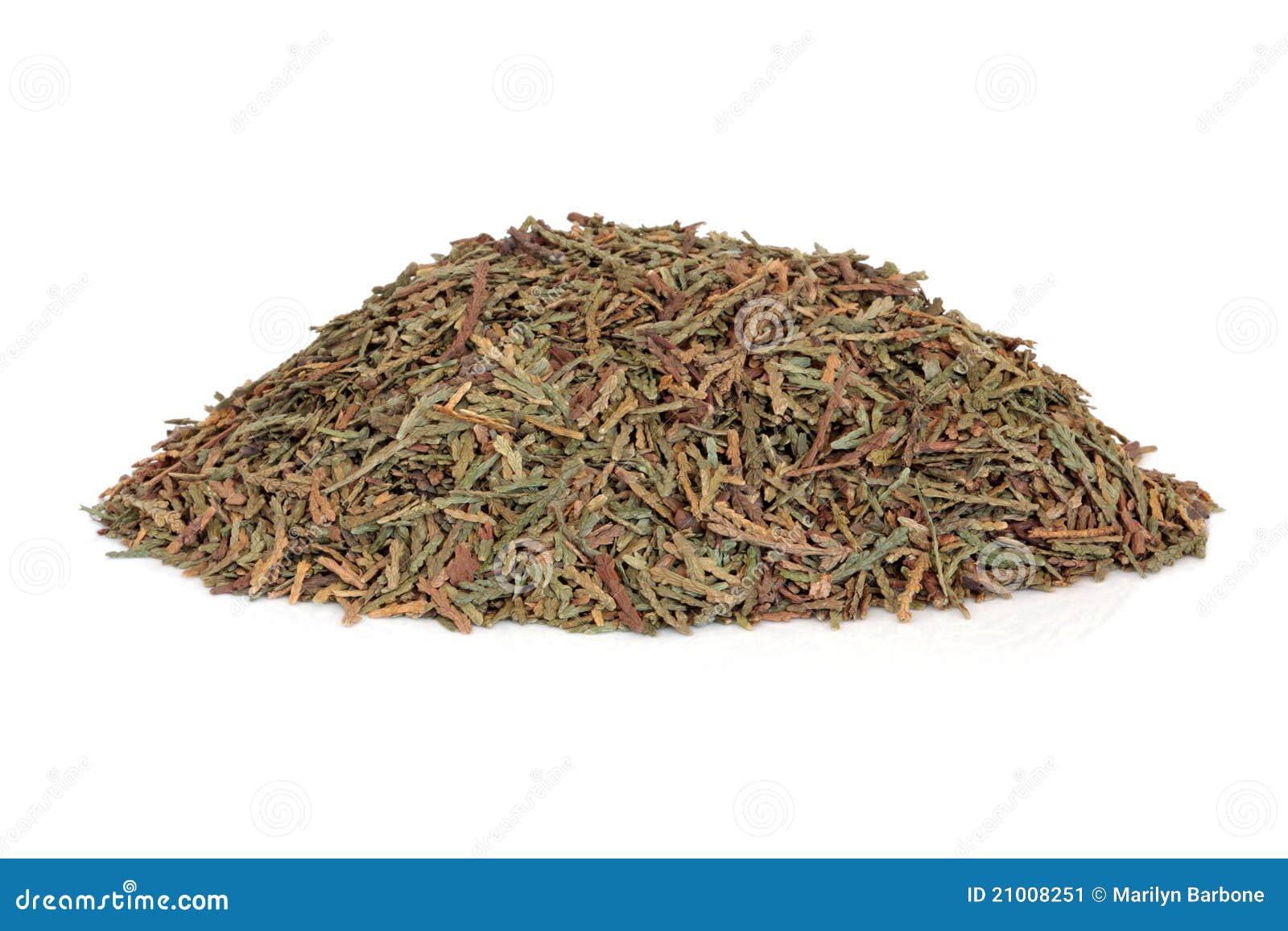 Biota Herb Leaves stock image. Image of white, food, chinese - 21008251