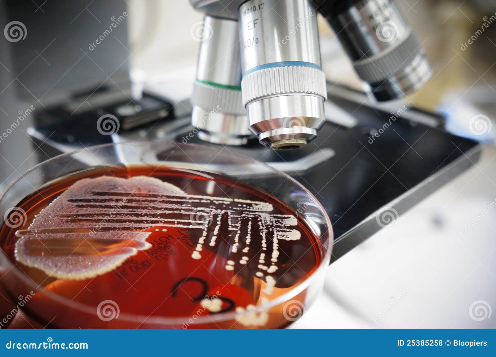 Biotechnologie photo stock. Image du microbiologie, médical - 25385258