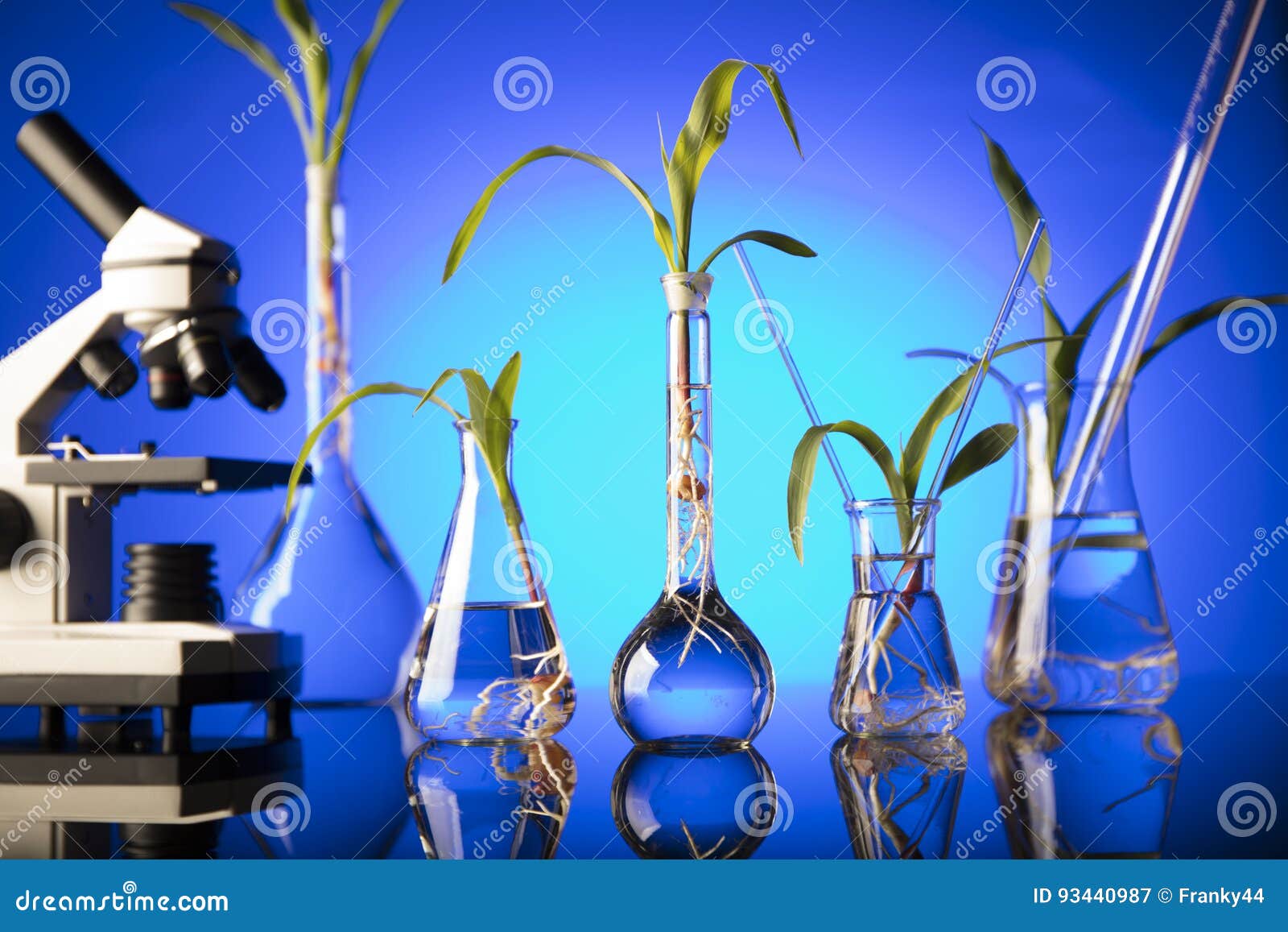 Biotechnologie image stock. Image du croissance, ingénierie - 93440987