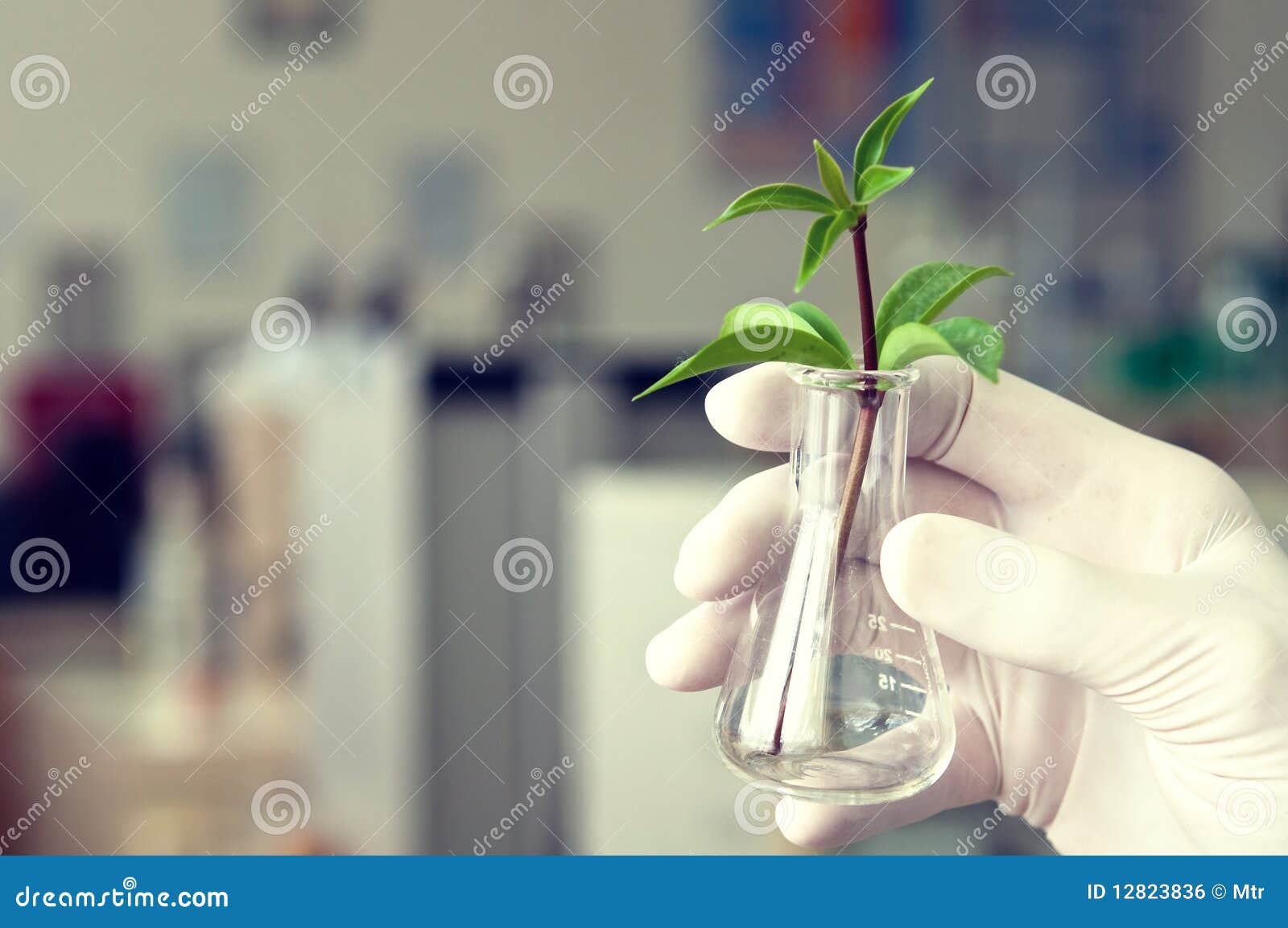 Biotechnology stock photo. Image of culture, liquid, medical - 12823836