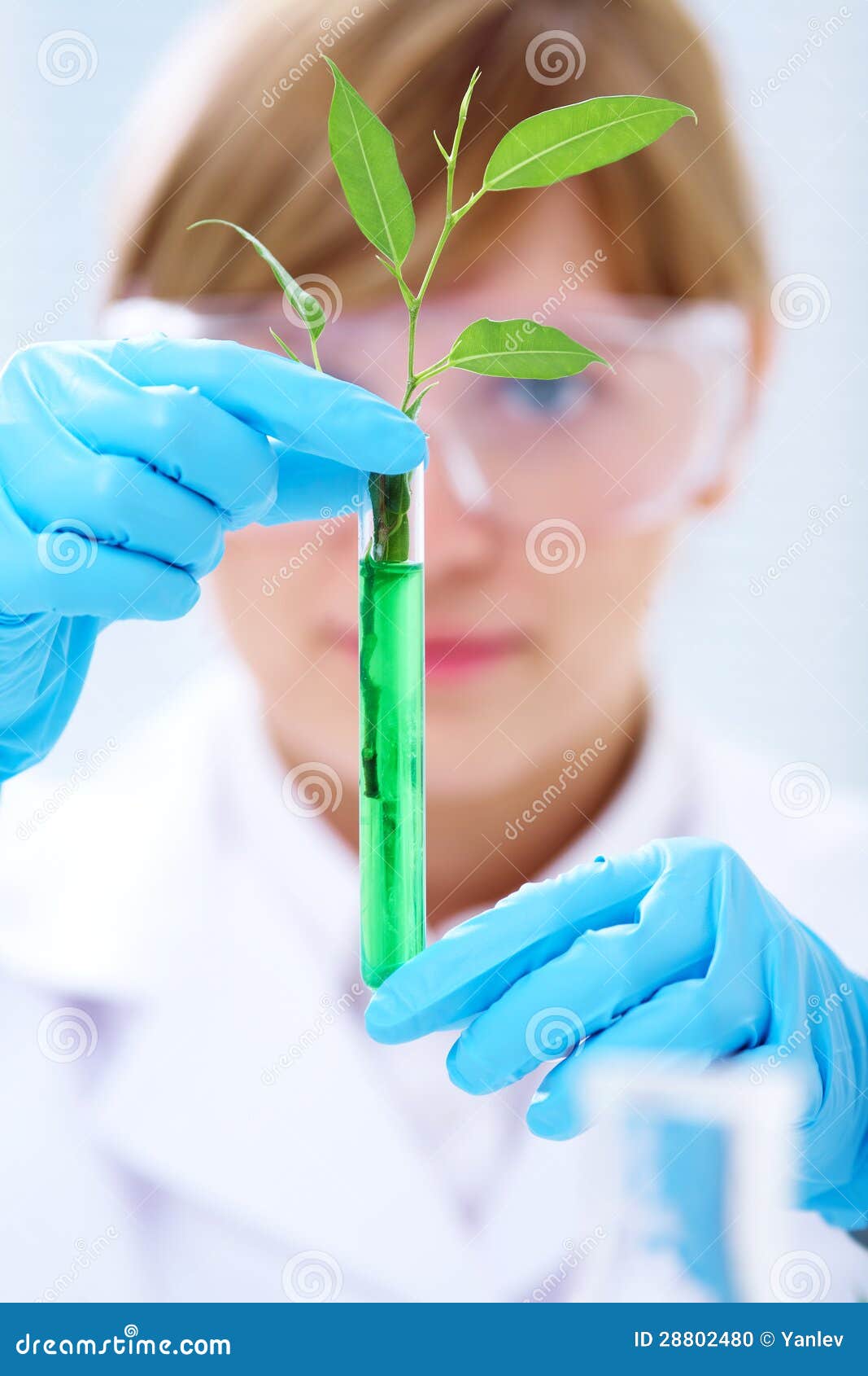 Biotechnology stock photo. Image of medical, botany, knowledge - 28802480