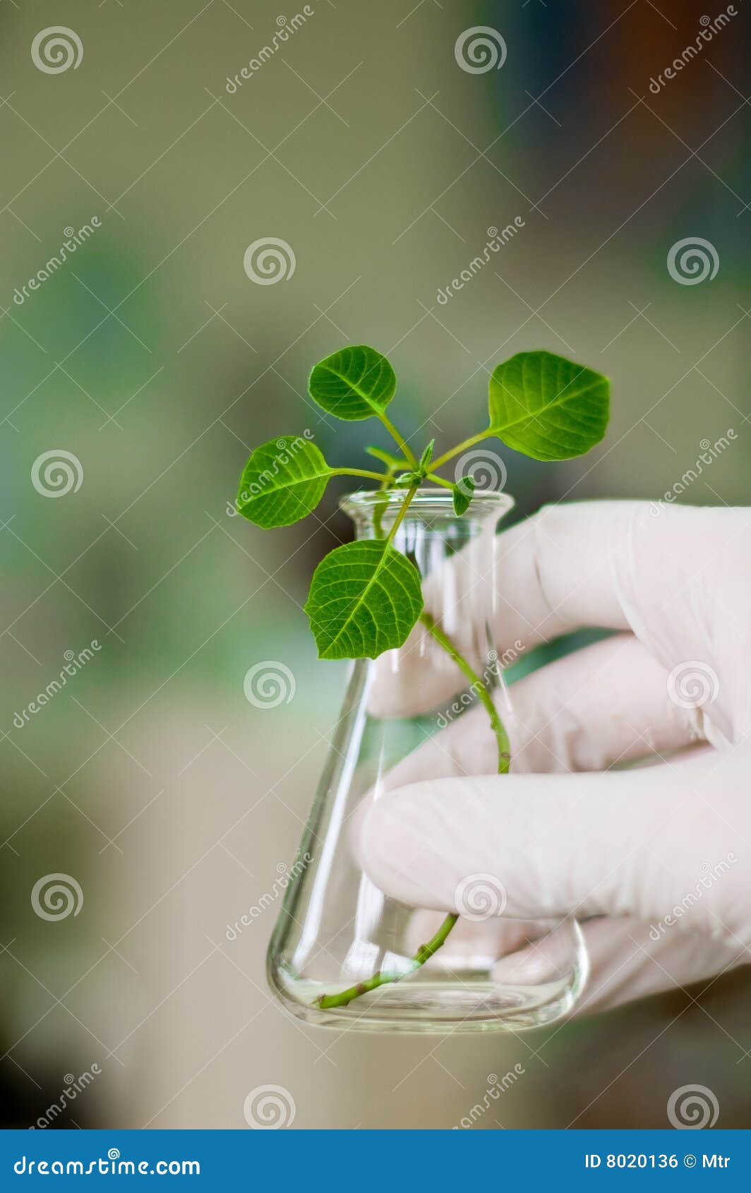 Biotechnology stock photo. Image of creation, bottle, hand - 8020136