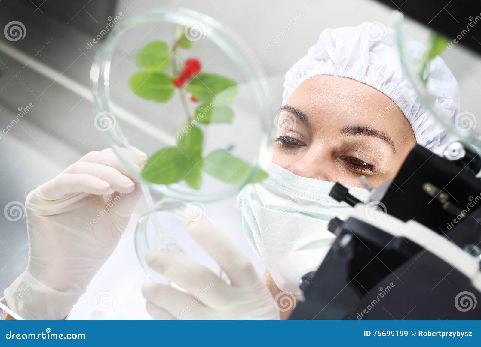 Biotechnology stock image. Image of technology, medical - 75699199