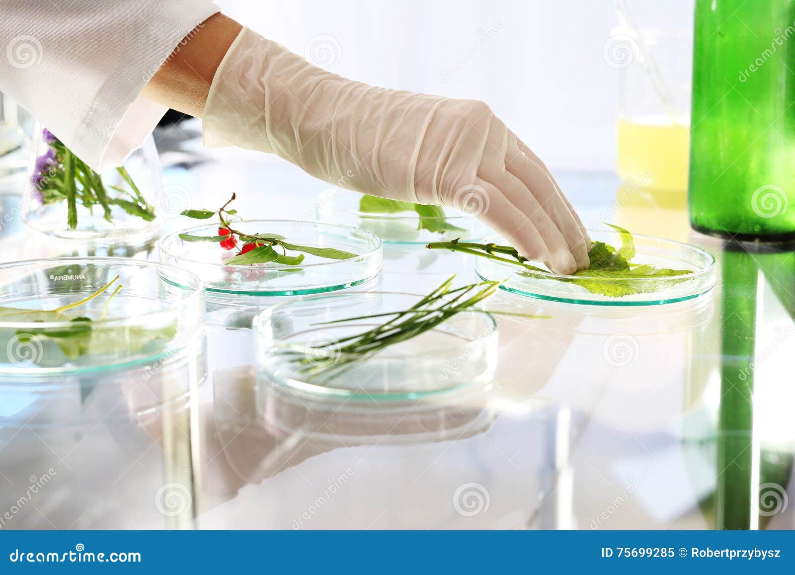 Biotechnology stock image. Image of propagation, analytical - 75699285