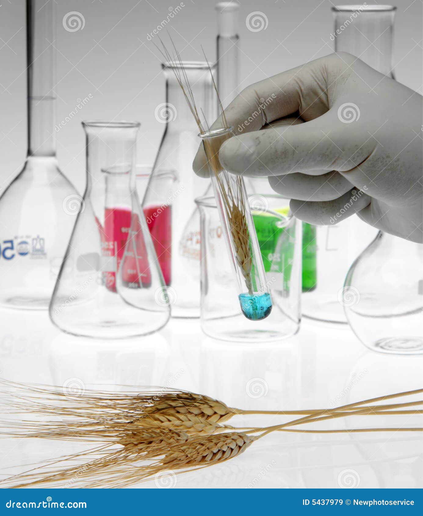 Biotechnology Concept Royalty Free Stock Images - Image: 5437979 Biotechnology Concept Royalty Free Stock Images - Image: 5437979
