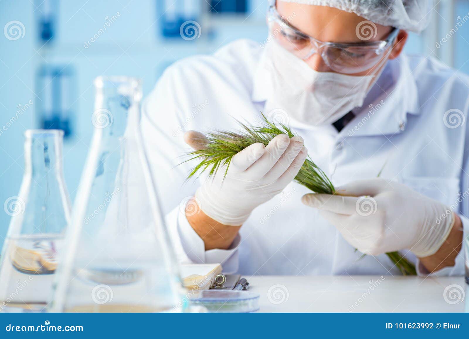 The Biotechnology Concept with Scientist in Lab Stock Photo - Image of ...