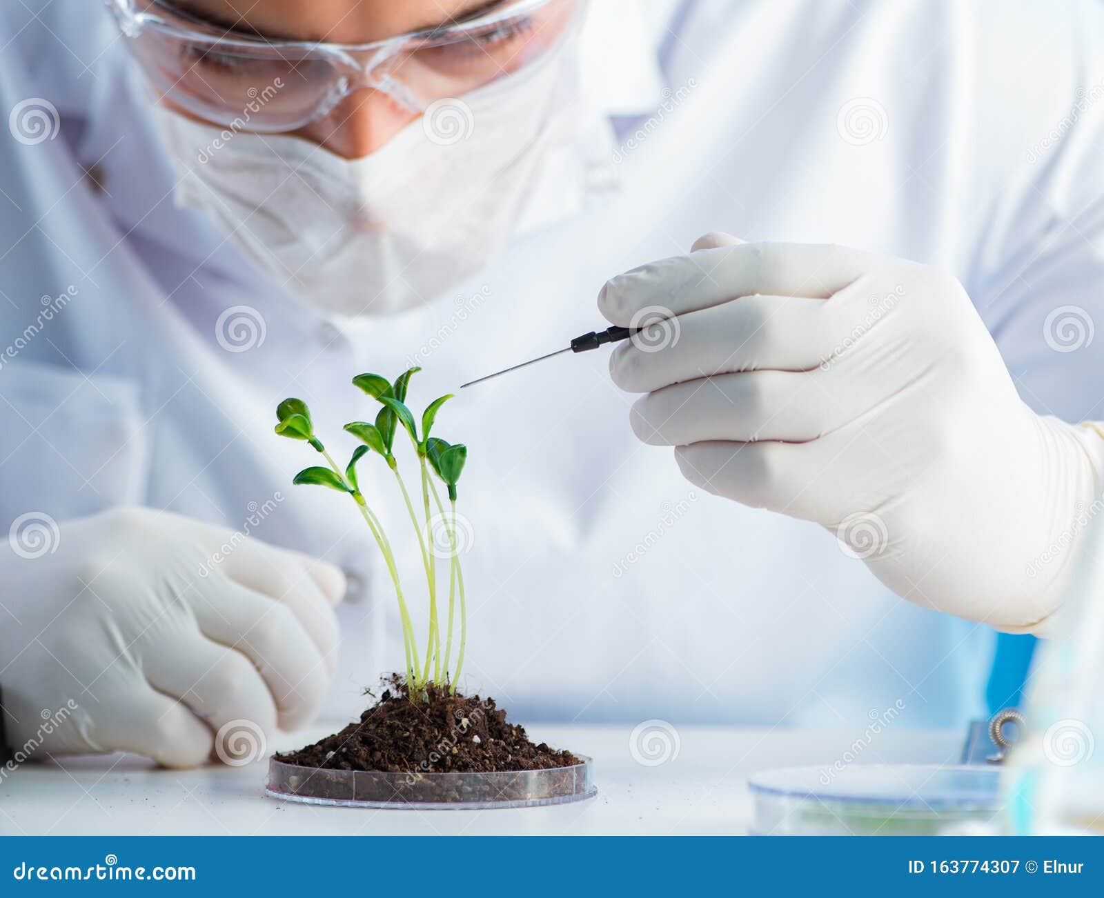 Biotechnology Concept with Scientist in Lab Stock Image - Image of ...