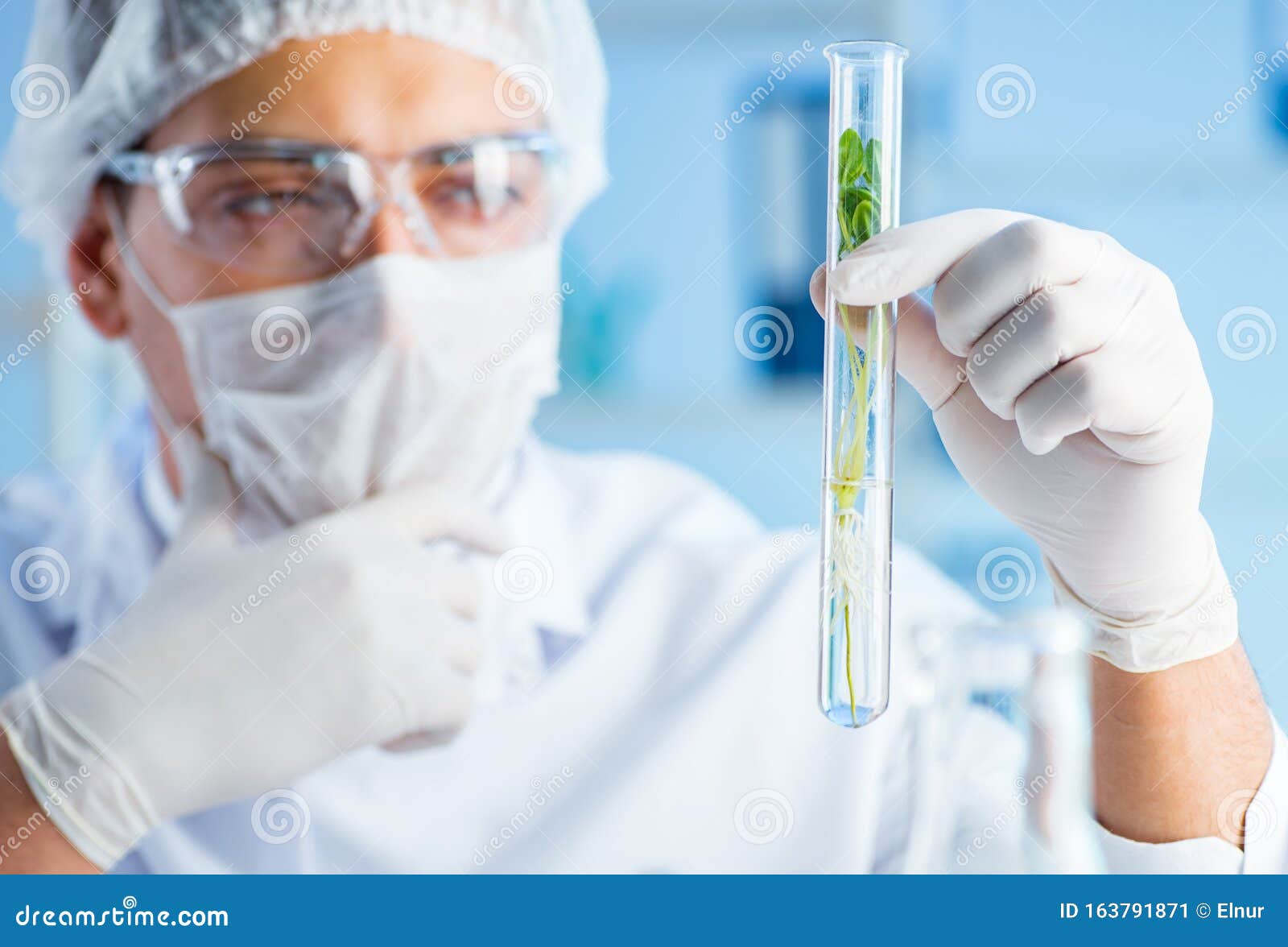 Biotechnology Concept with Scientist in Lab Stock Image - Image of ...