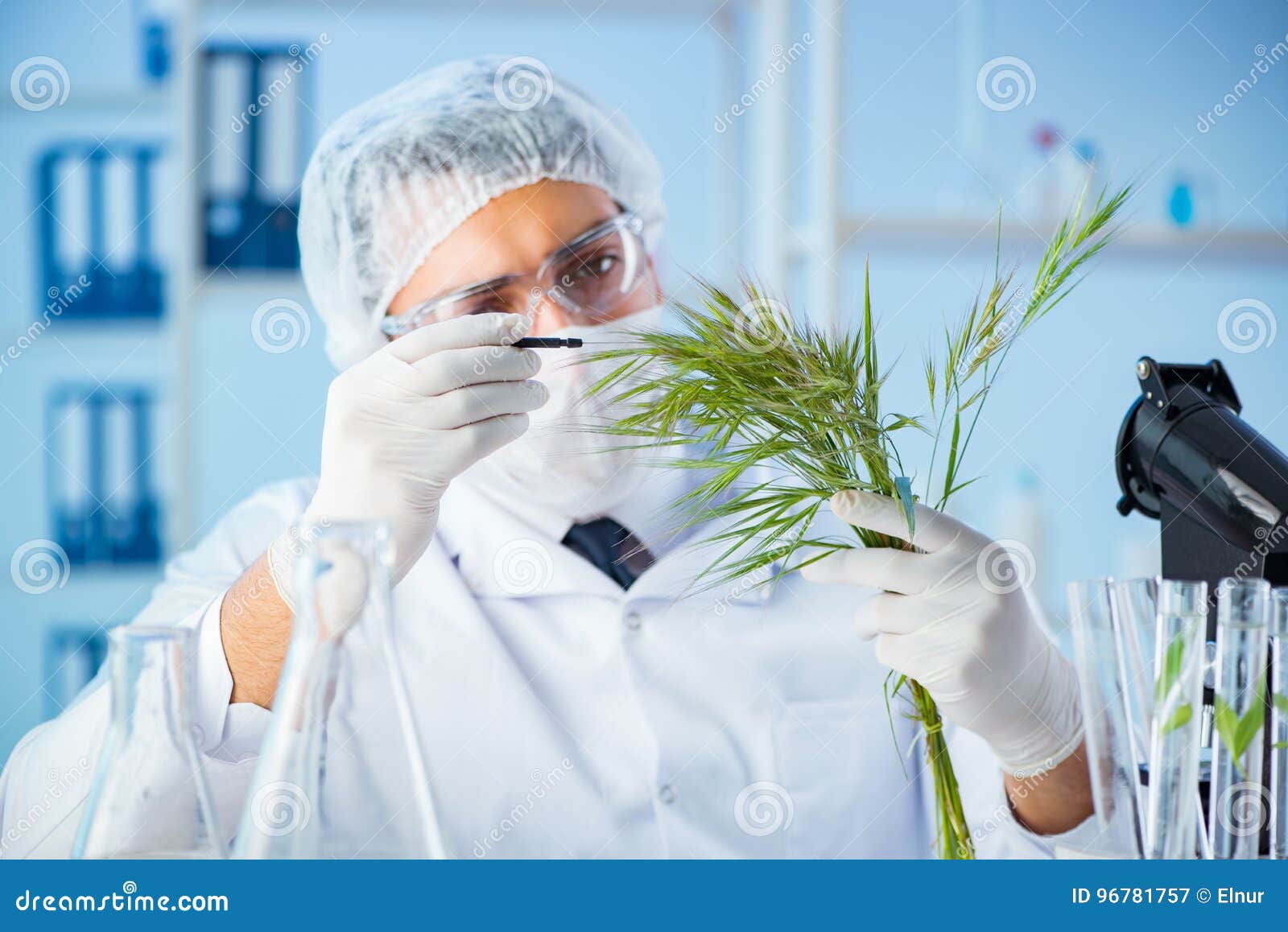 The Biotechnology Concept with Scientist in Lab Stock Image - Image of ...