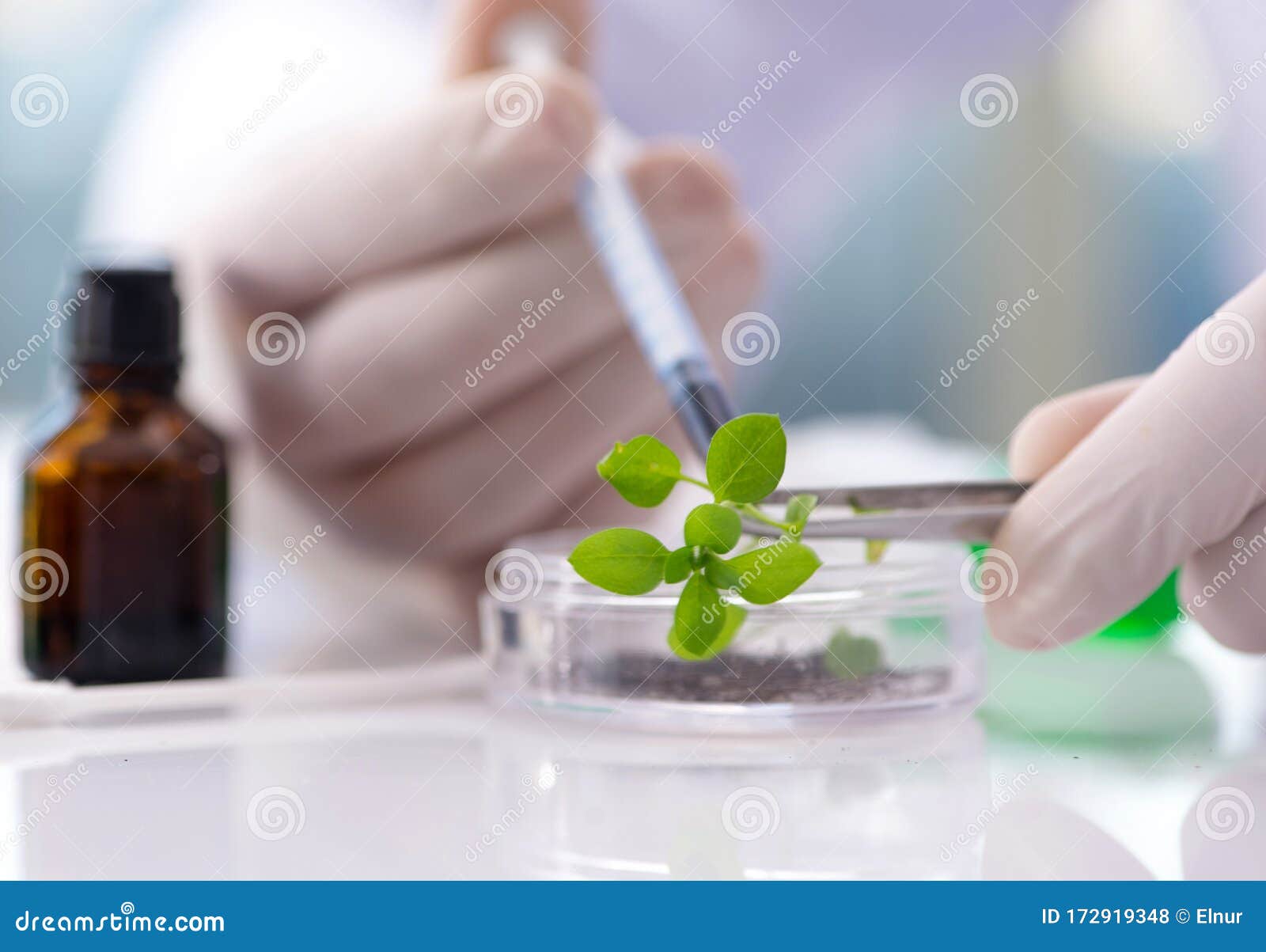 Biotechnology Concept with Scientist in Lab Stock Photo - Image of ...