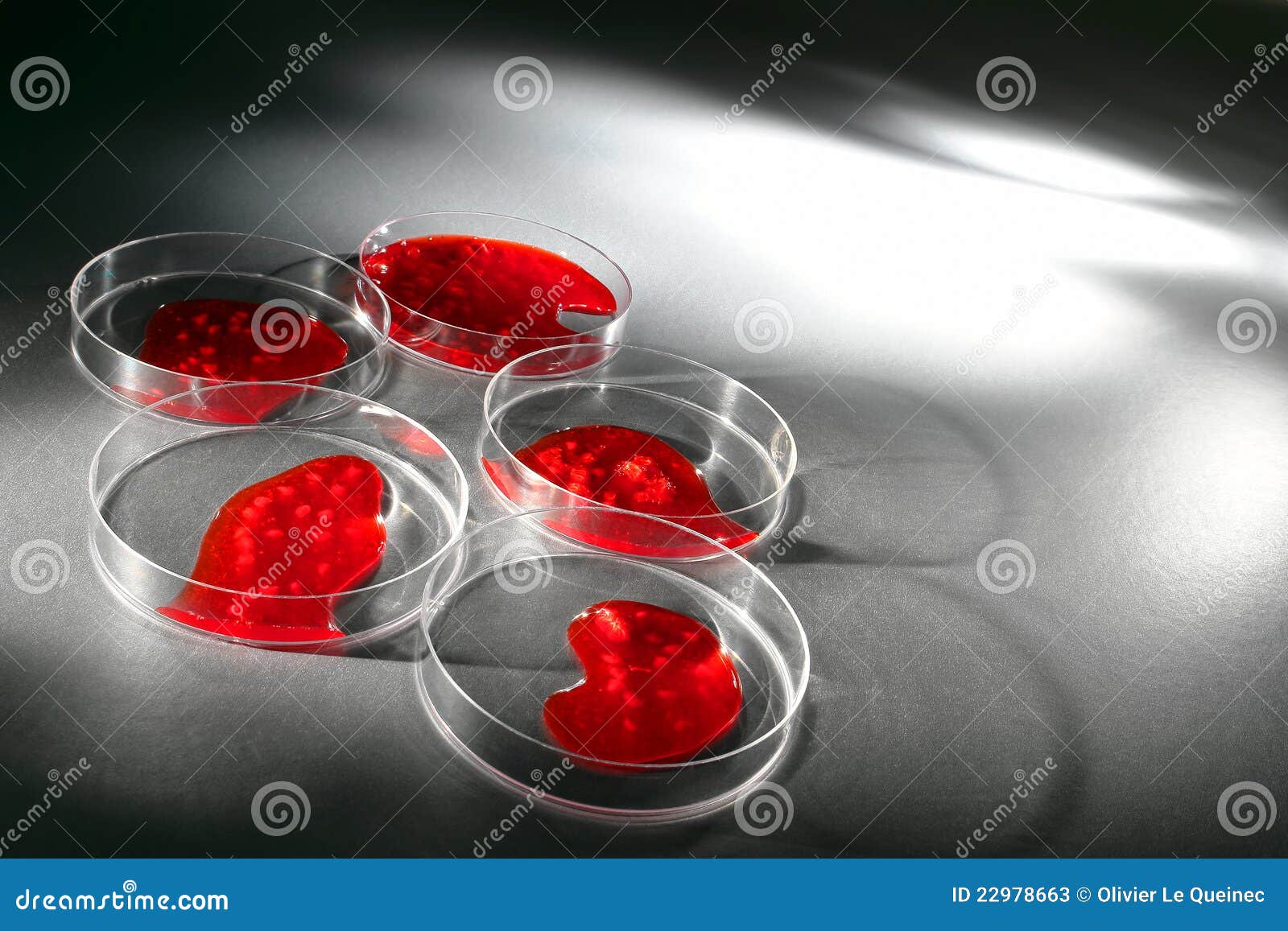 Biotechnology Experiment in Science Research Lab Stock Image - Image of ...