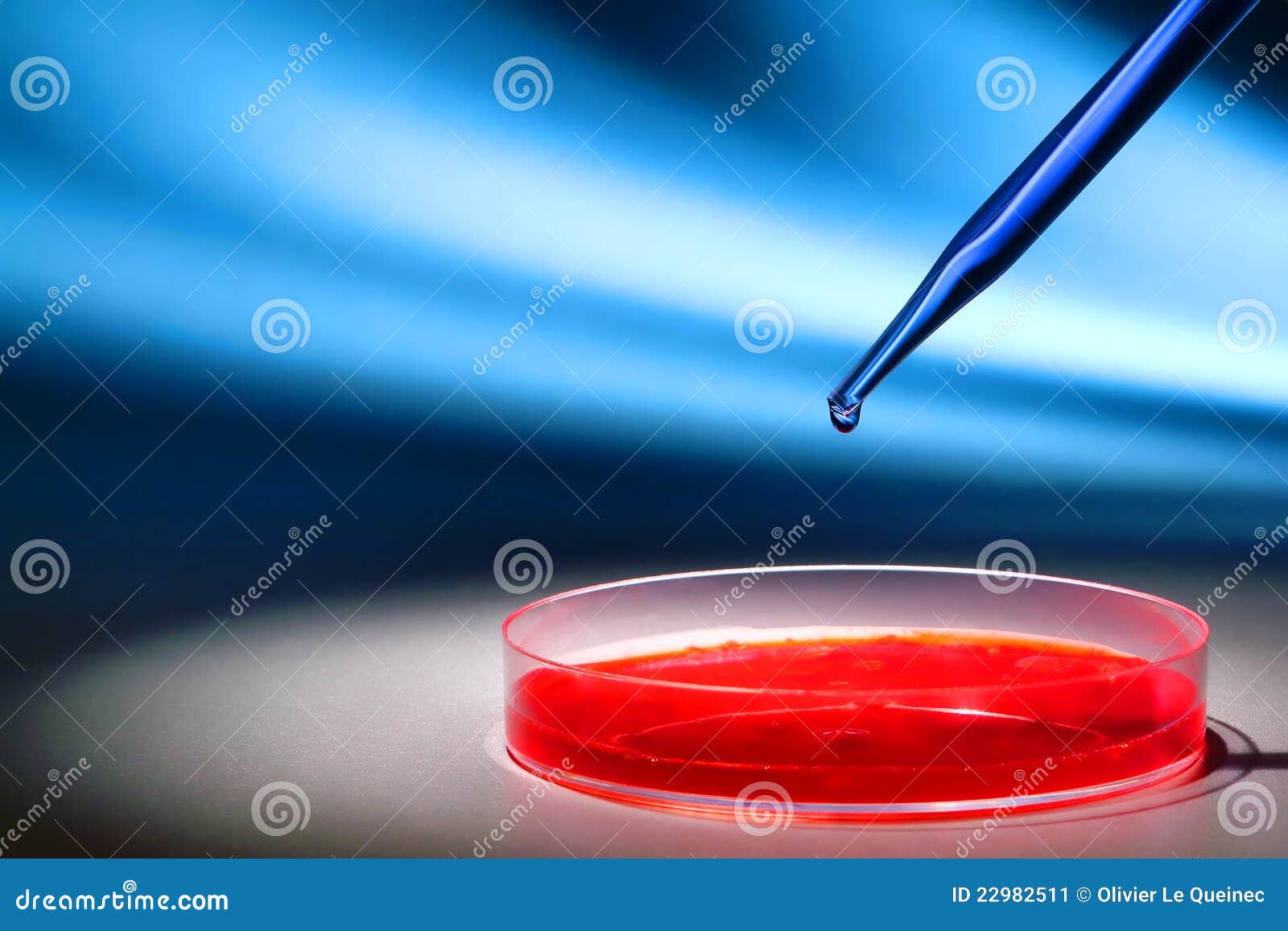 Biotechnology Experiment in Science Research Lab Stock Image - Image of ...