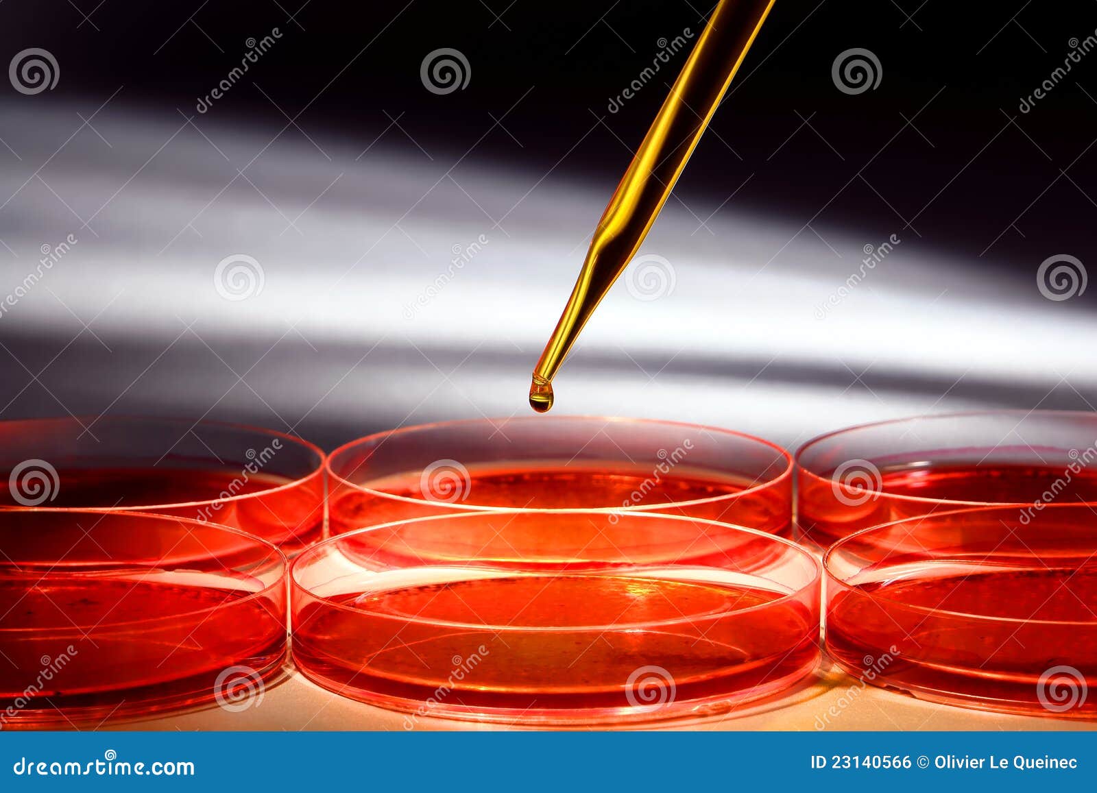 Biotechnology Experiment in Science Research Lab Stock Photo - Image of ...