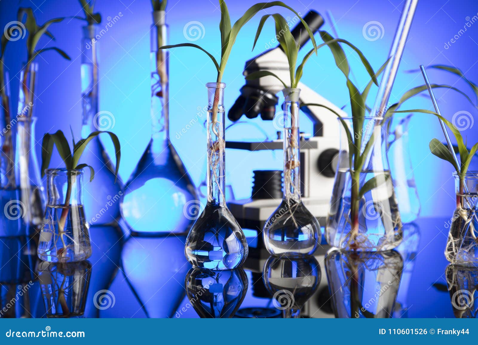 Biotechnology and Floral Science Theme. Stock Photo - Image of green ...