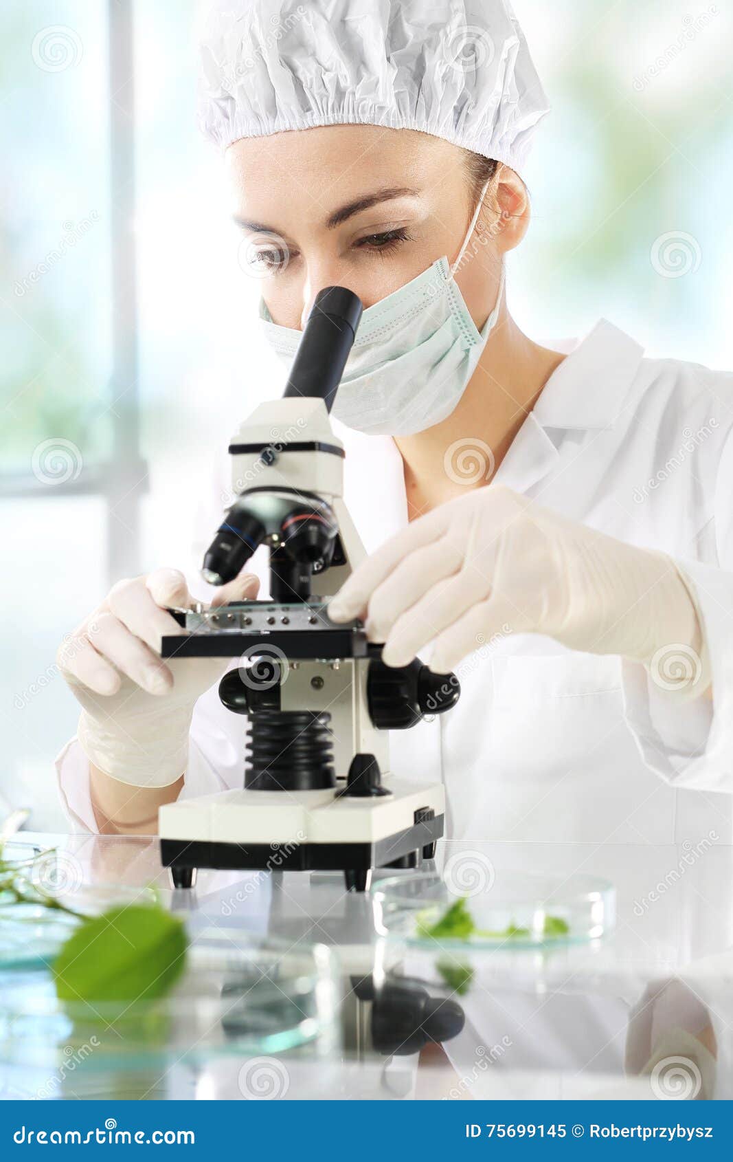 Biotechnology and Genetic Engineering. Stock Image - Image of glassware ...